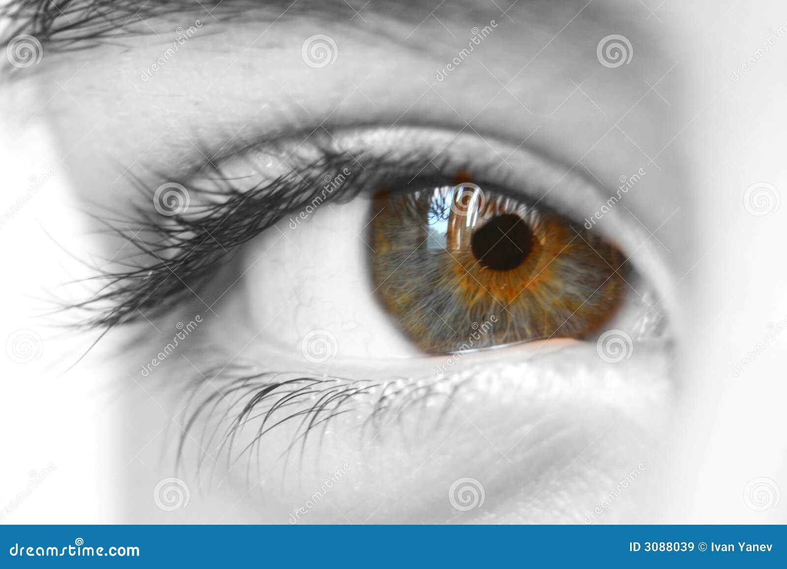 Magiczne oko obraz stock. Obraz złożonej z tło, naturalny - 3088039