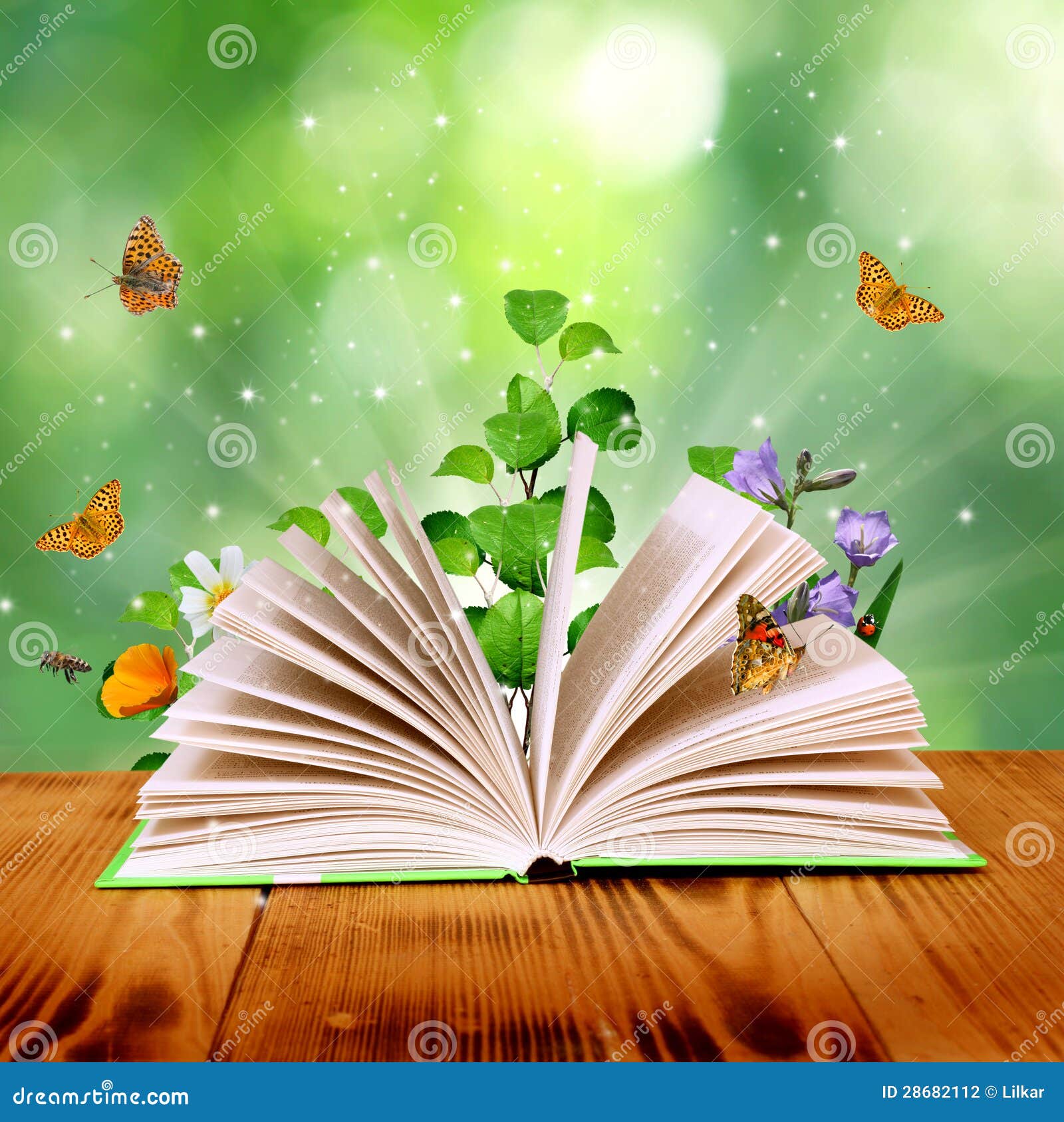 Magisch boek stock foto. Image of installatie, boek, leren - 28682112