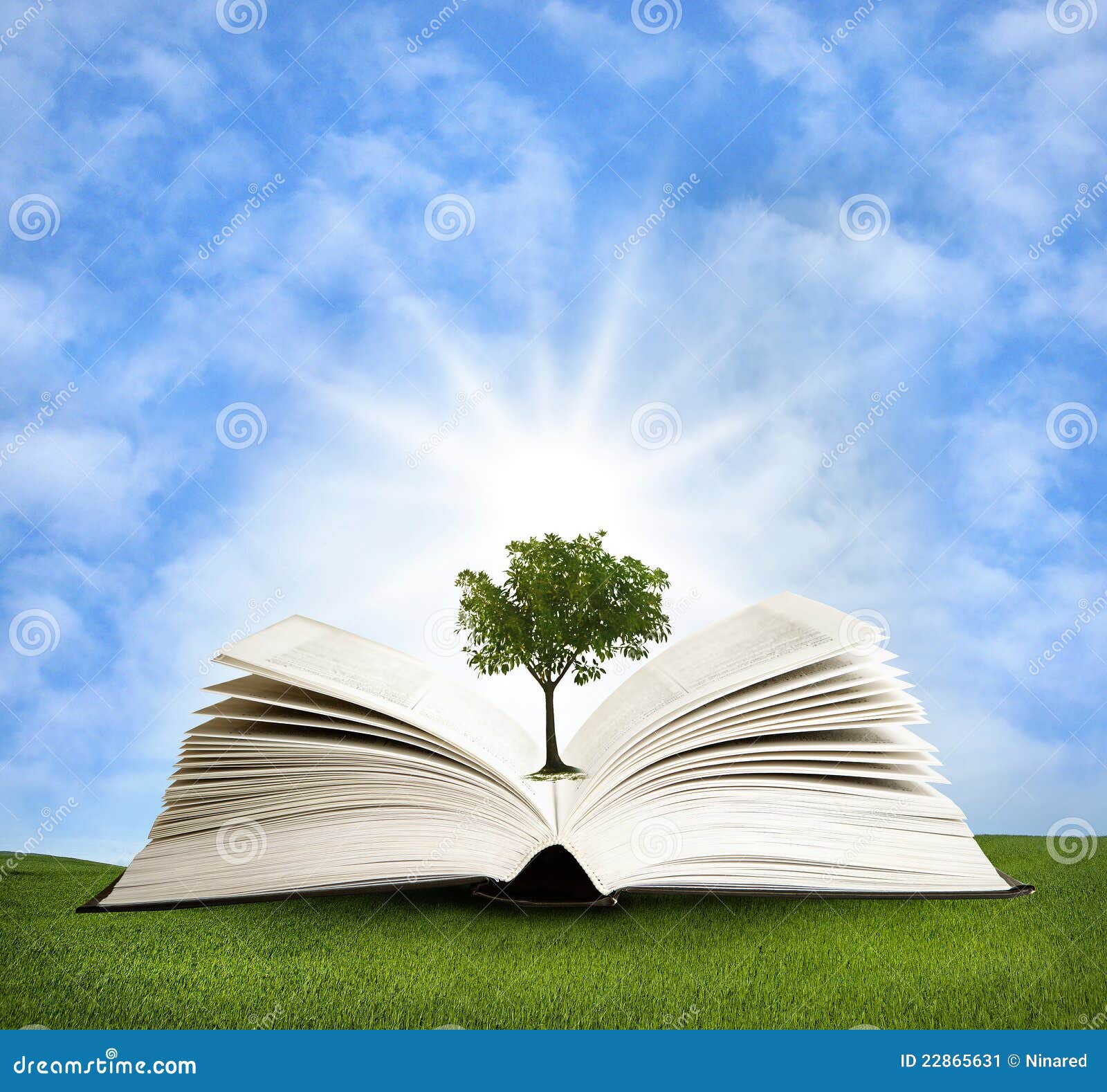 Magisch Boek Met Groene Boom Stock Afbeelding - Image of interessant ...