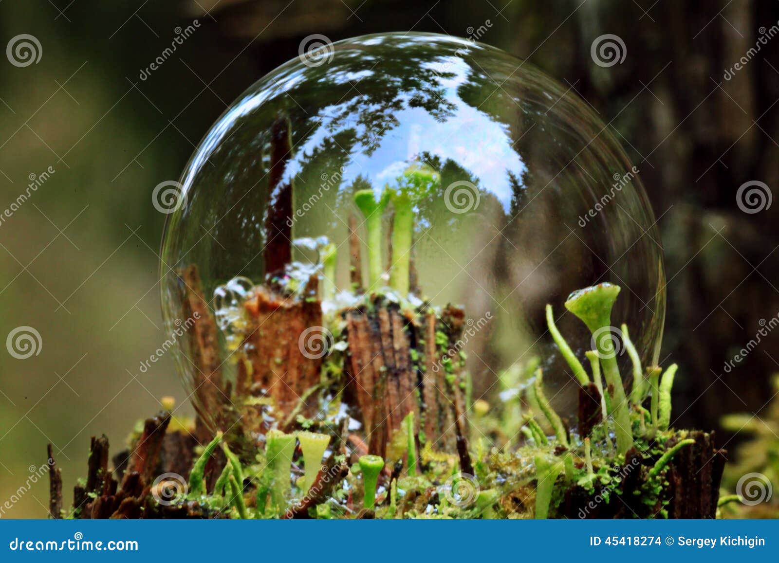 Magische Wereld Van Macromos Stock Foto - Image of achtergrond ...