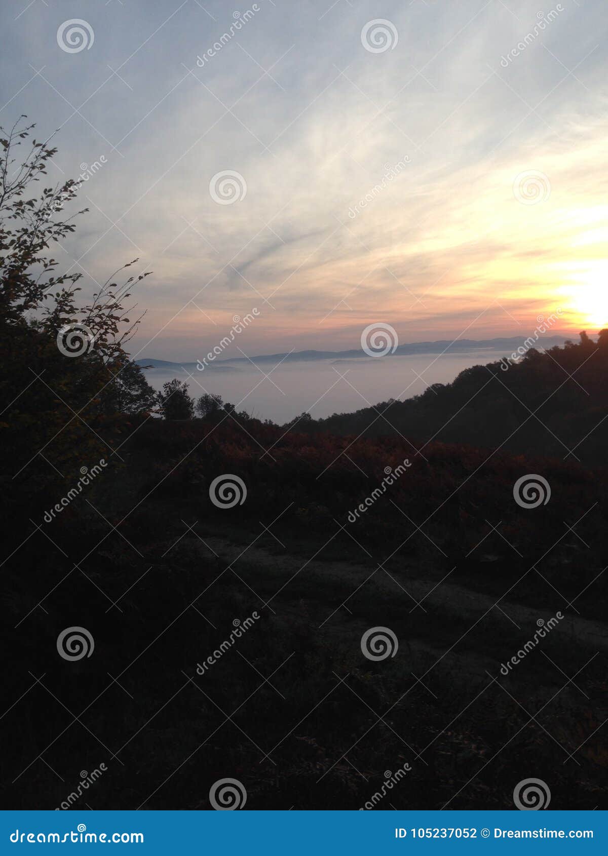 Magla photo stock. Image du most - 105237052