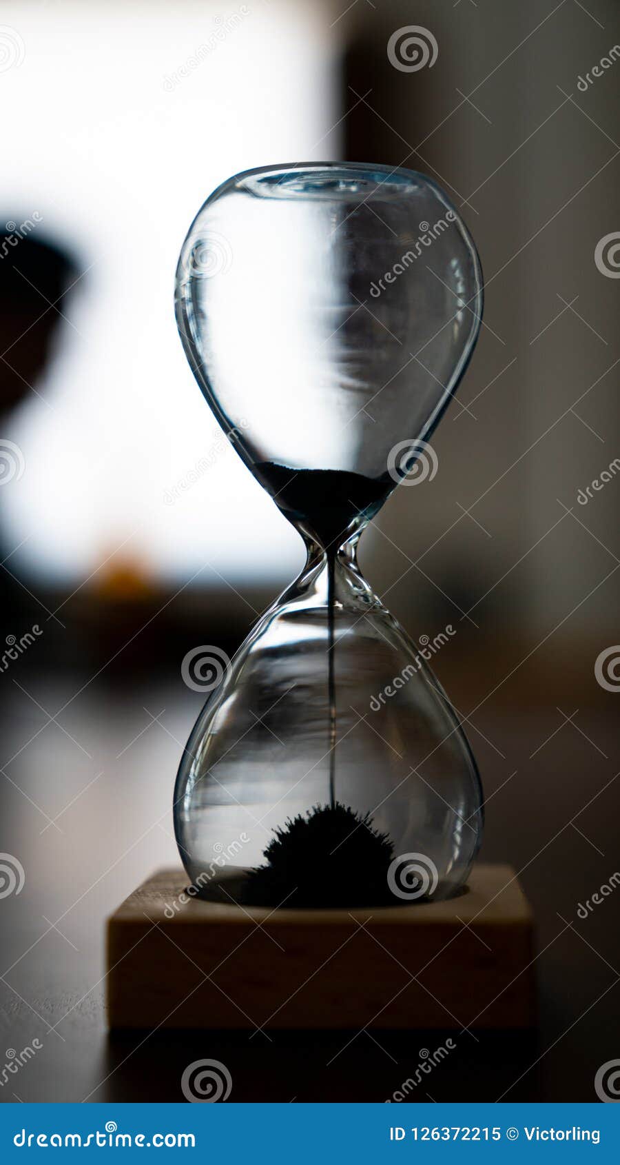 Still Waiting... stock image. Image of bullfighting - 126372215