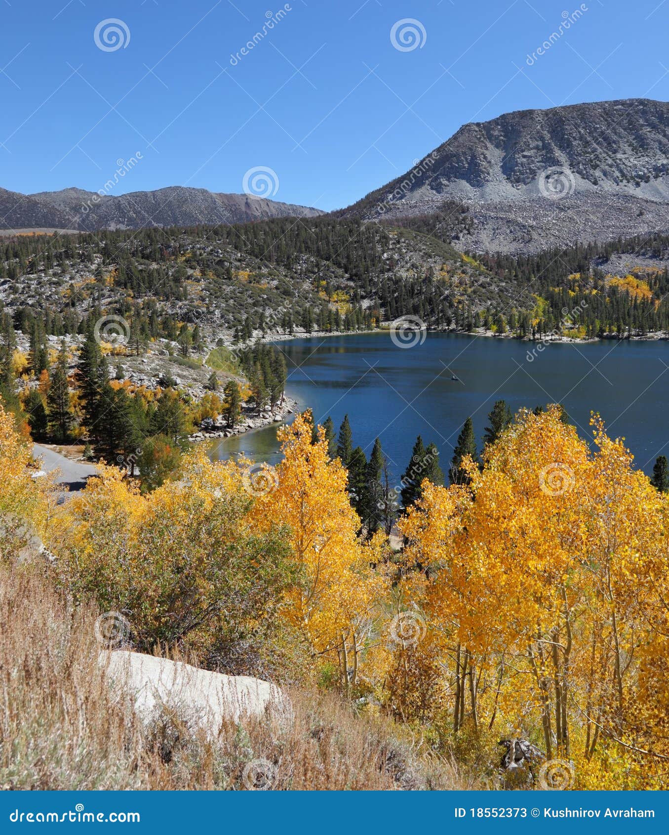 The Magnificent American Autumn Stock Image - Image of landscape ...
