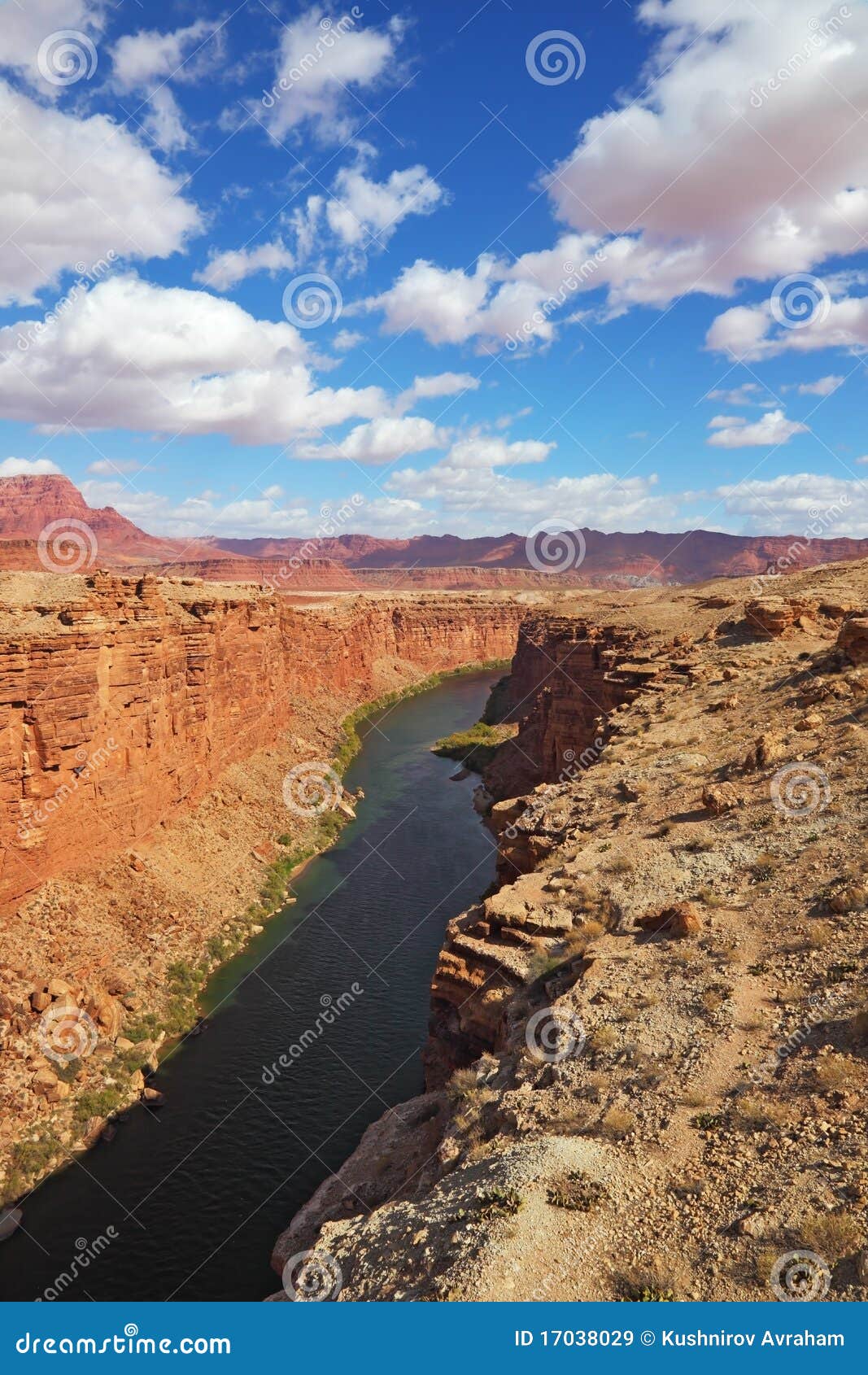 Magnificent Colorado River stock image. Image of colorado - 17038029