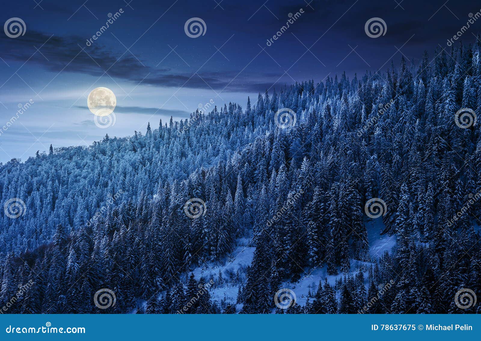 Magnificent Forest in Winter Mountains at Night Stock Image - Image of ...