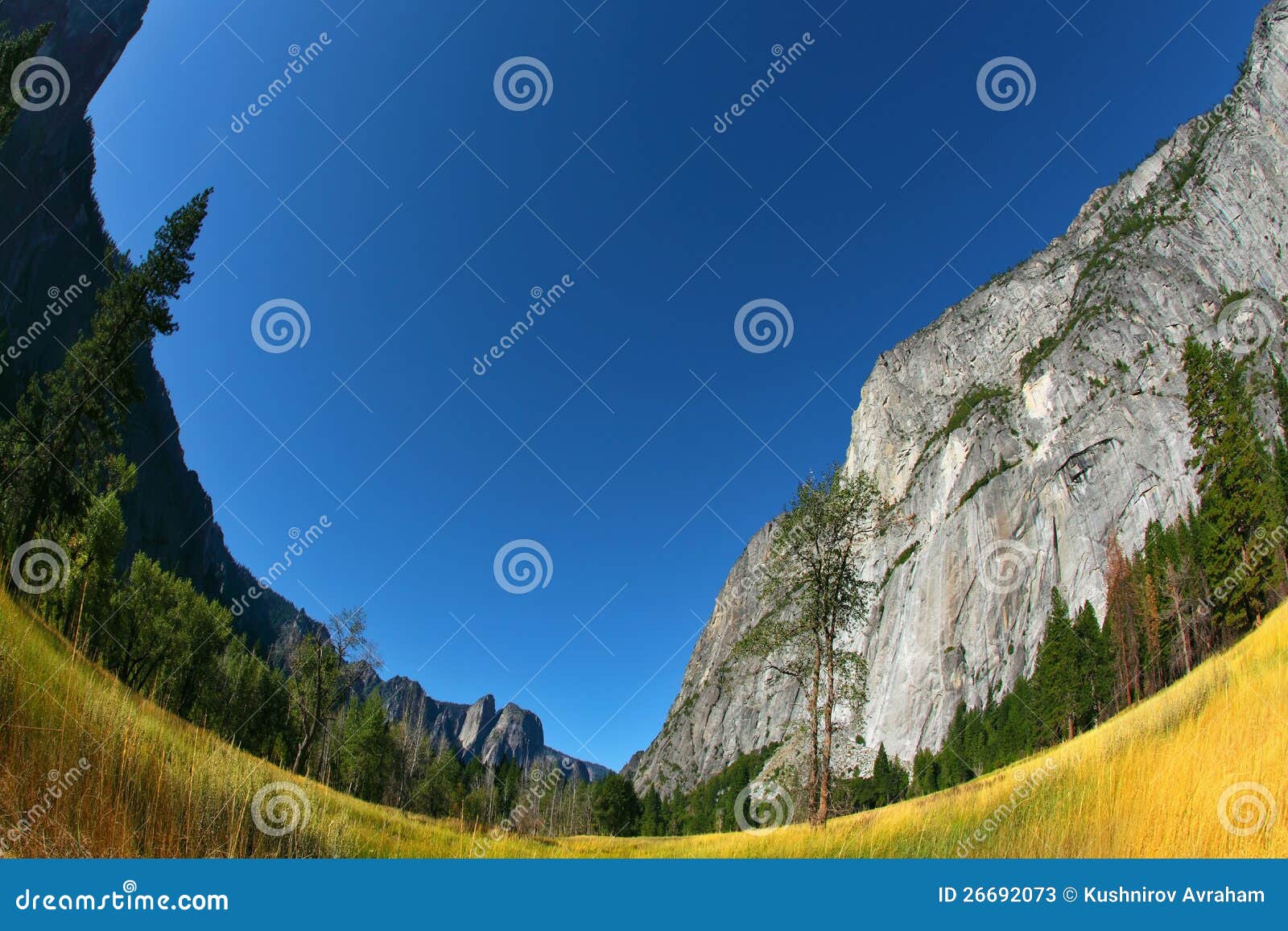 Magnificent Glade in Valley Yosemite Park Stock Image - Image of cloud ...