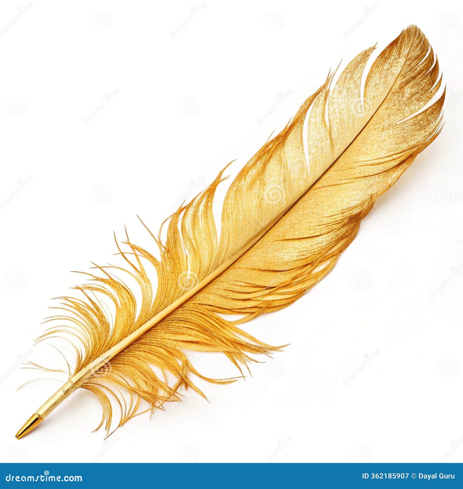 Magnificent Golden Phoenix Feathers Isolated on White Background Stock ...