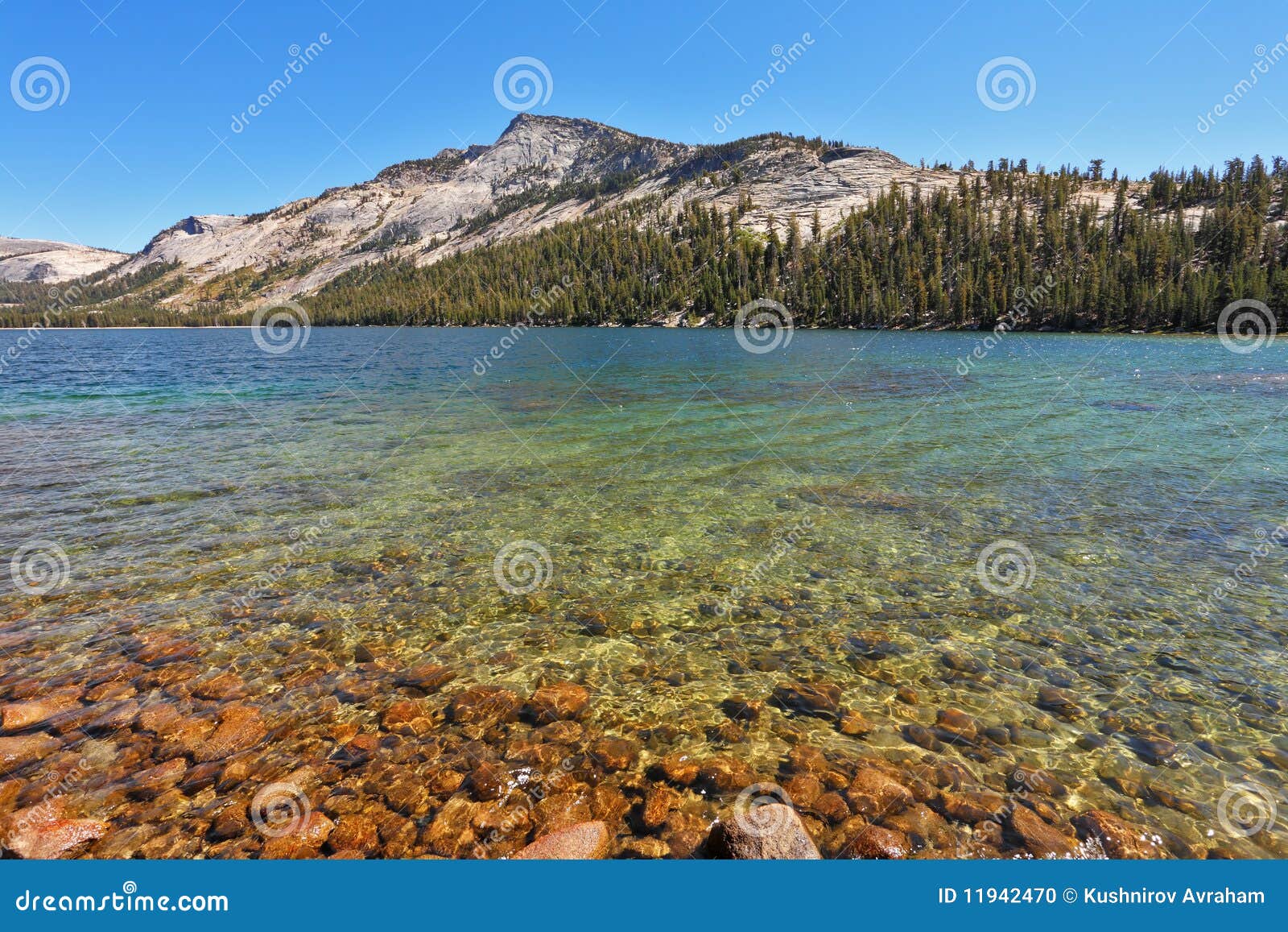 Magnificent Huge Lake in Yellowstone Stock Photo - Image of summer ...