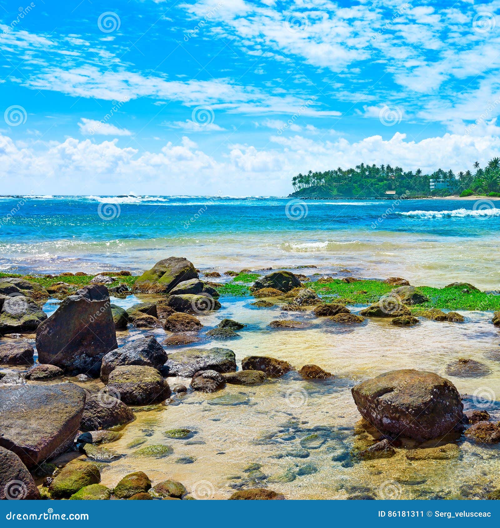 Magnificent Landscape of the Sea Stock Image - Image of coast, blue ...