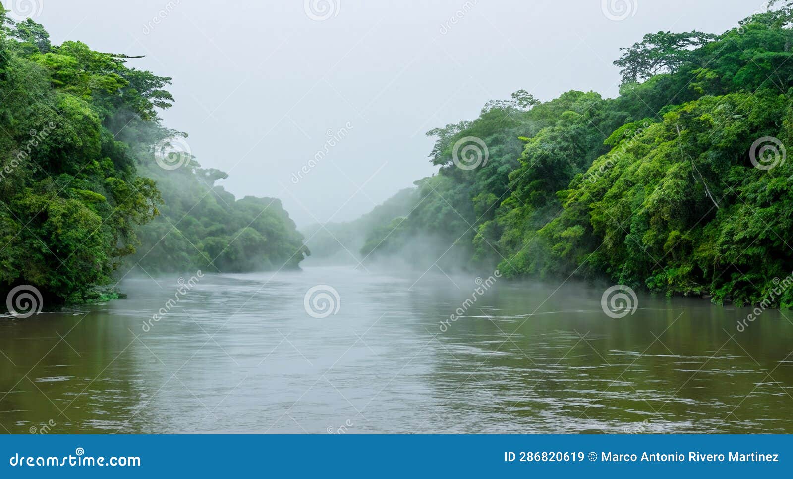 Magnificent Misty Amazon River with Mist and Green Forested Area in ...