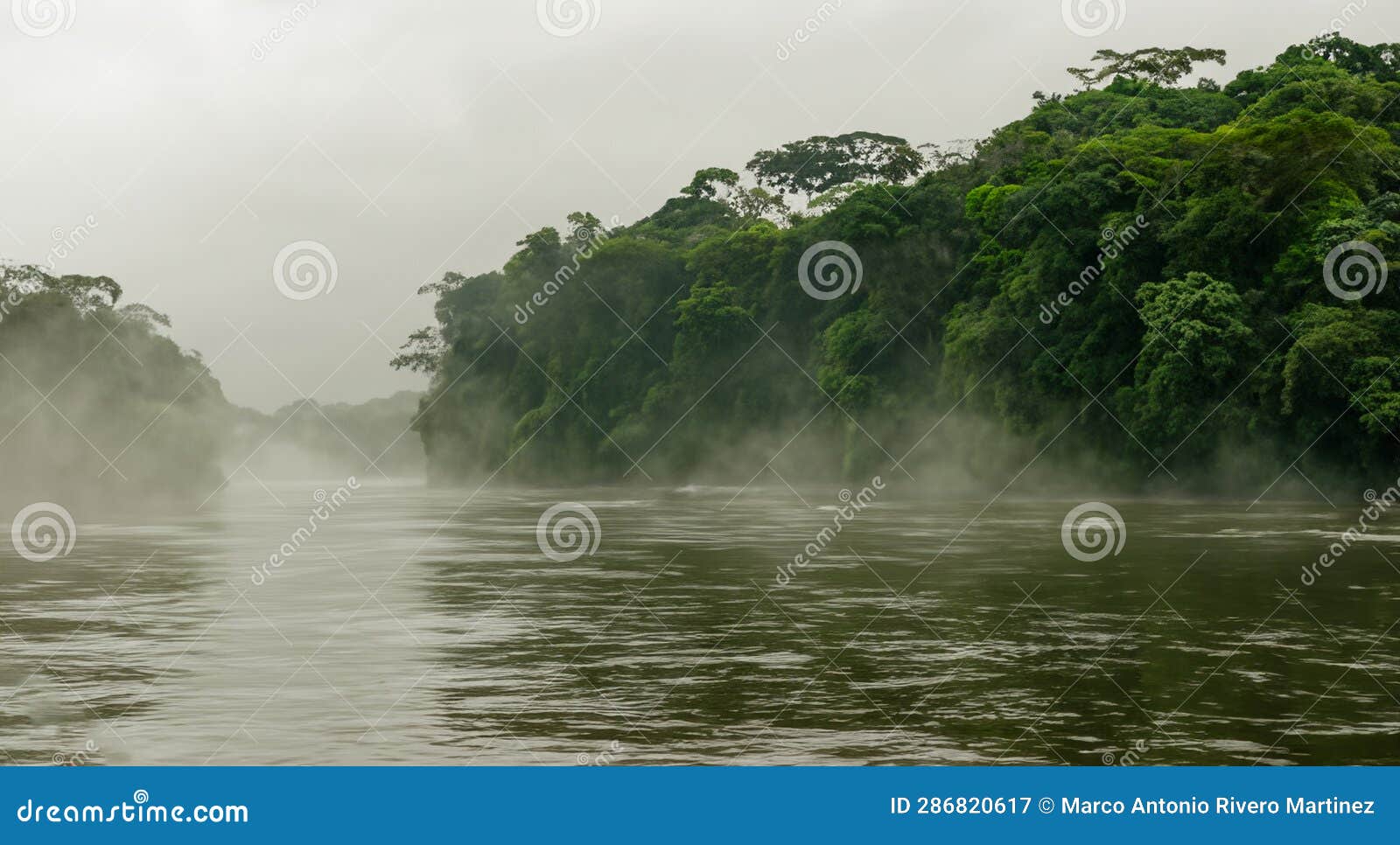 Magnificent Misty Amazon River with Mist and Green Forested Area in ...