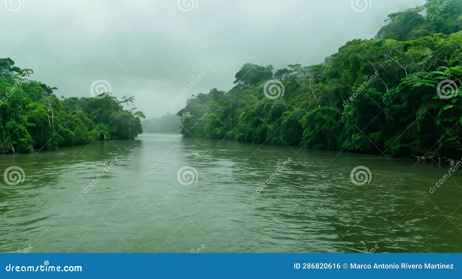 Magnificent Misty Amazon River With Mist And Green Forested Area In High Resolution And