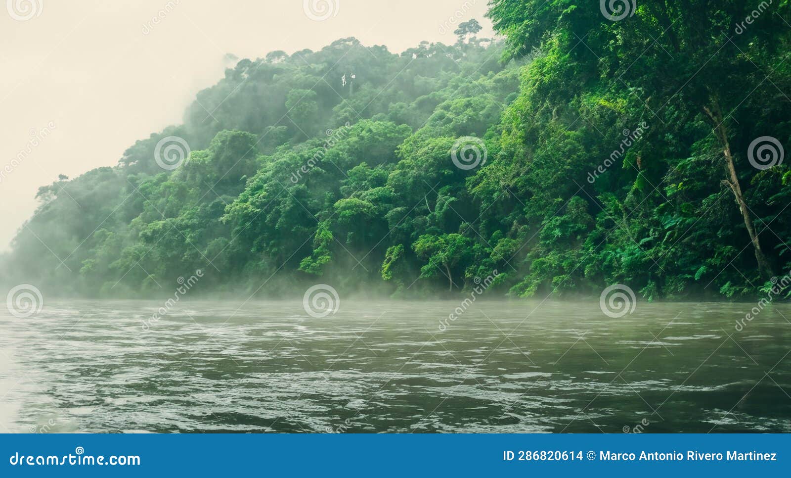 Magnificent Misty Amazon River with Mist and Green Forested Area in ...