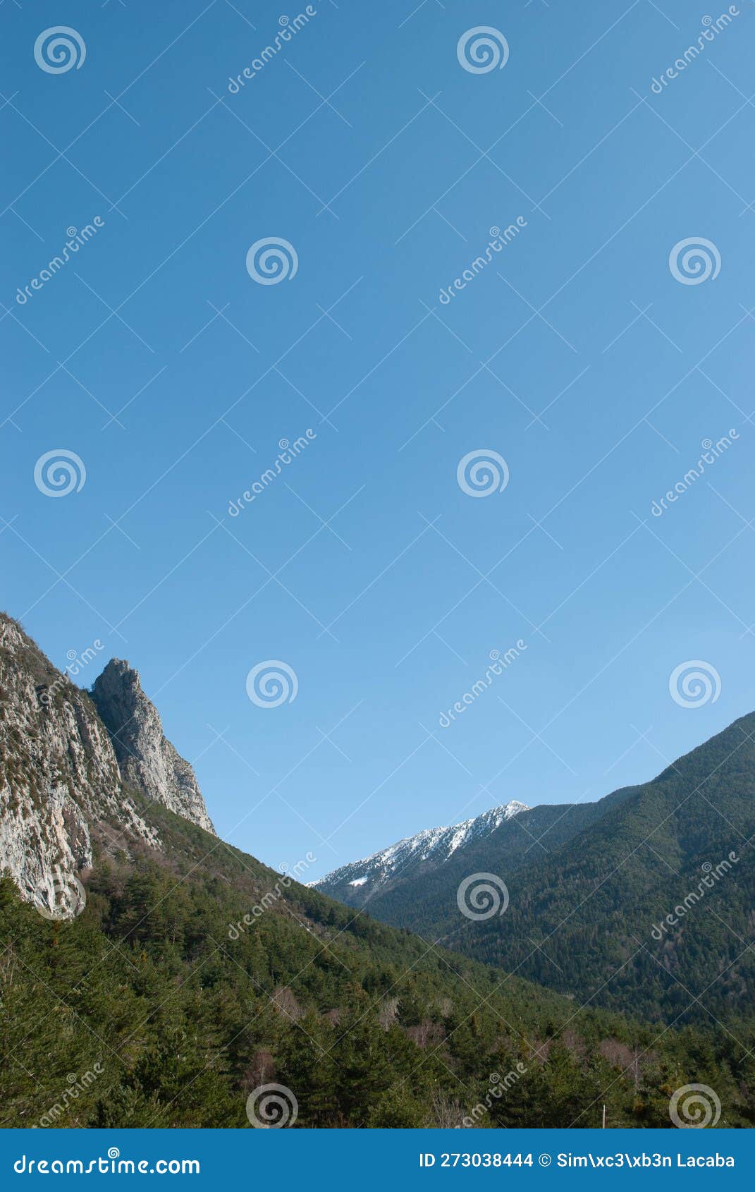Magnificent Mountain Landscape with Dense Forests and Open Skyline ...