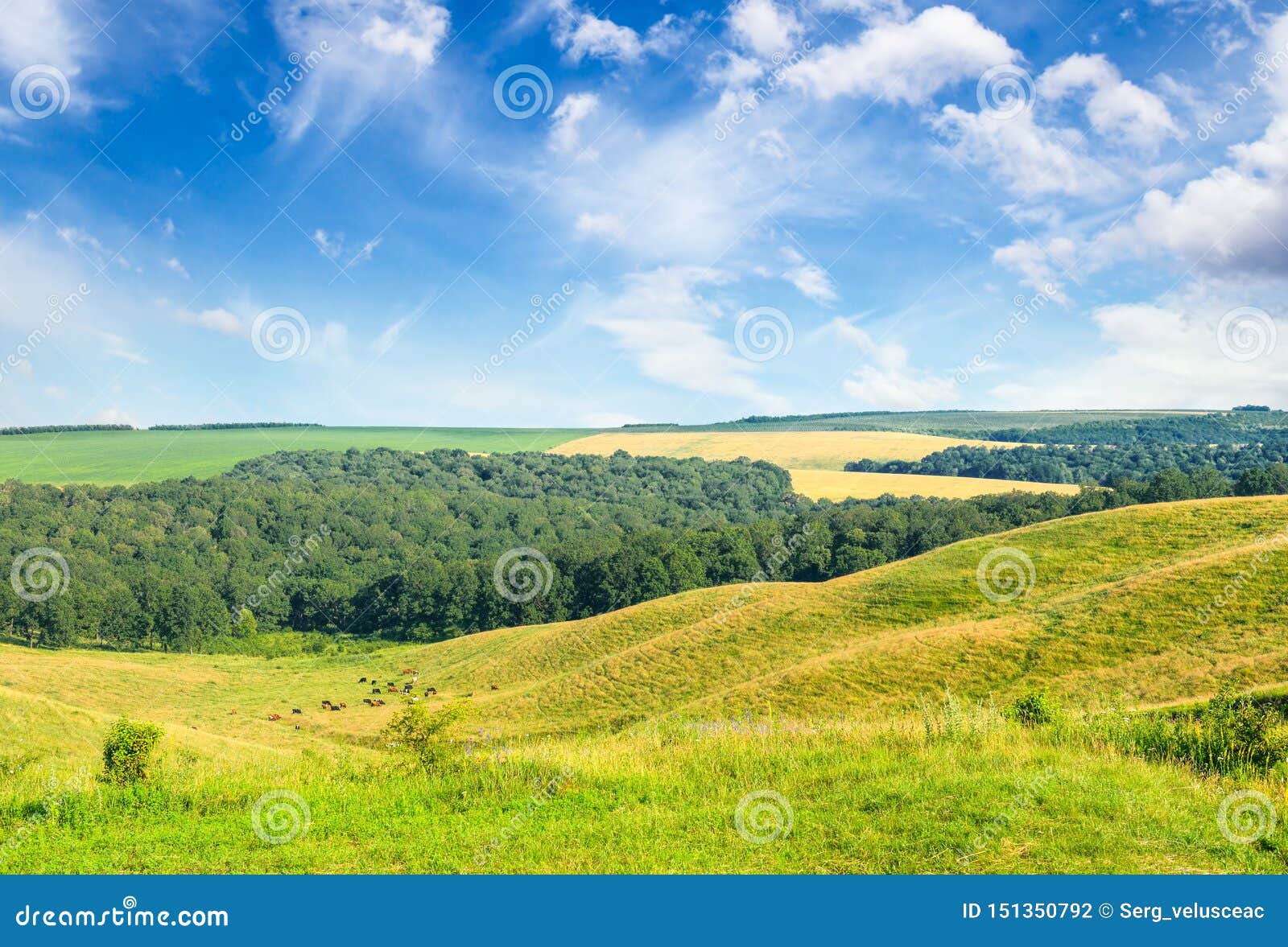 Magnificent Pasture Landscape and Blue Sky Stock Photo - Image of ...