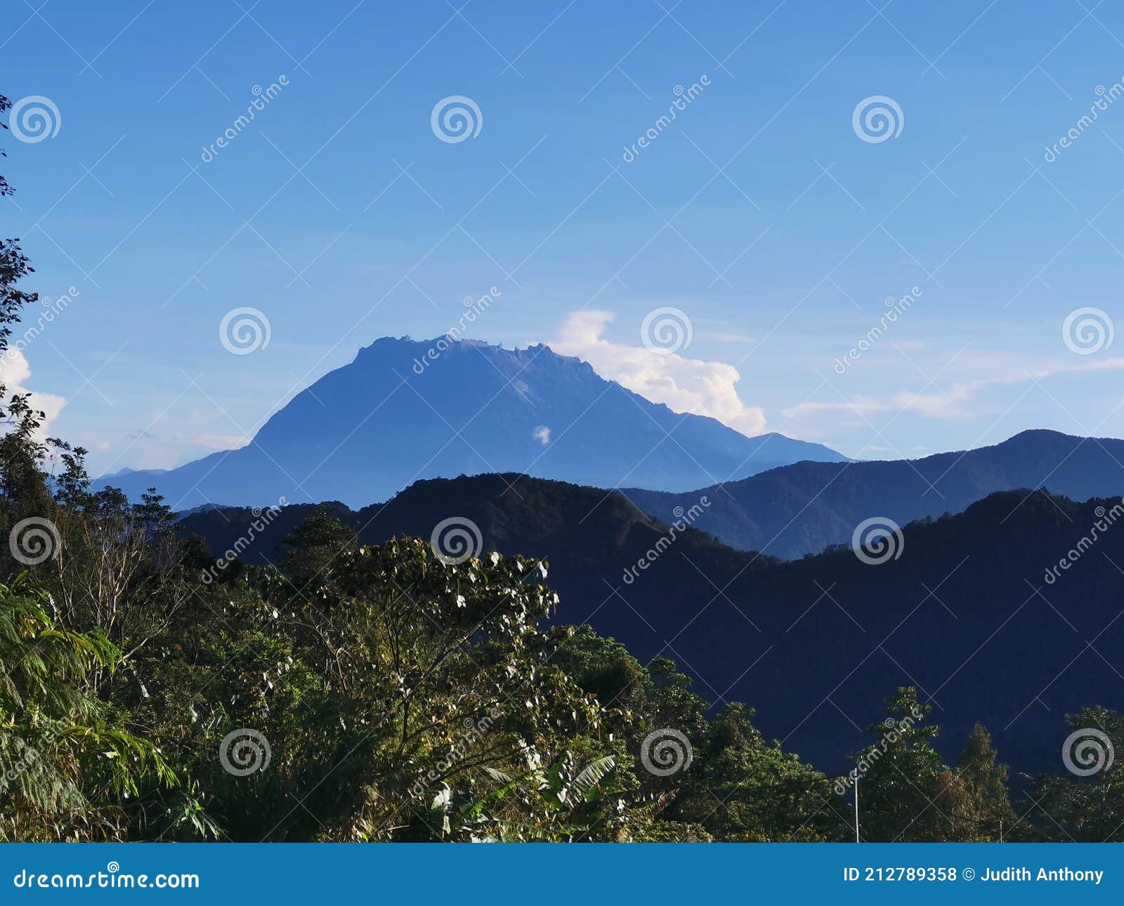 Magnificent Scenery of the Mountain and Forest. Stock Photo - Image of ...