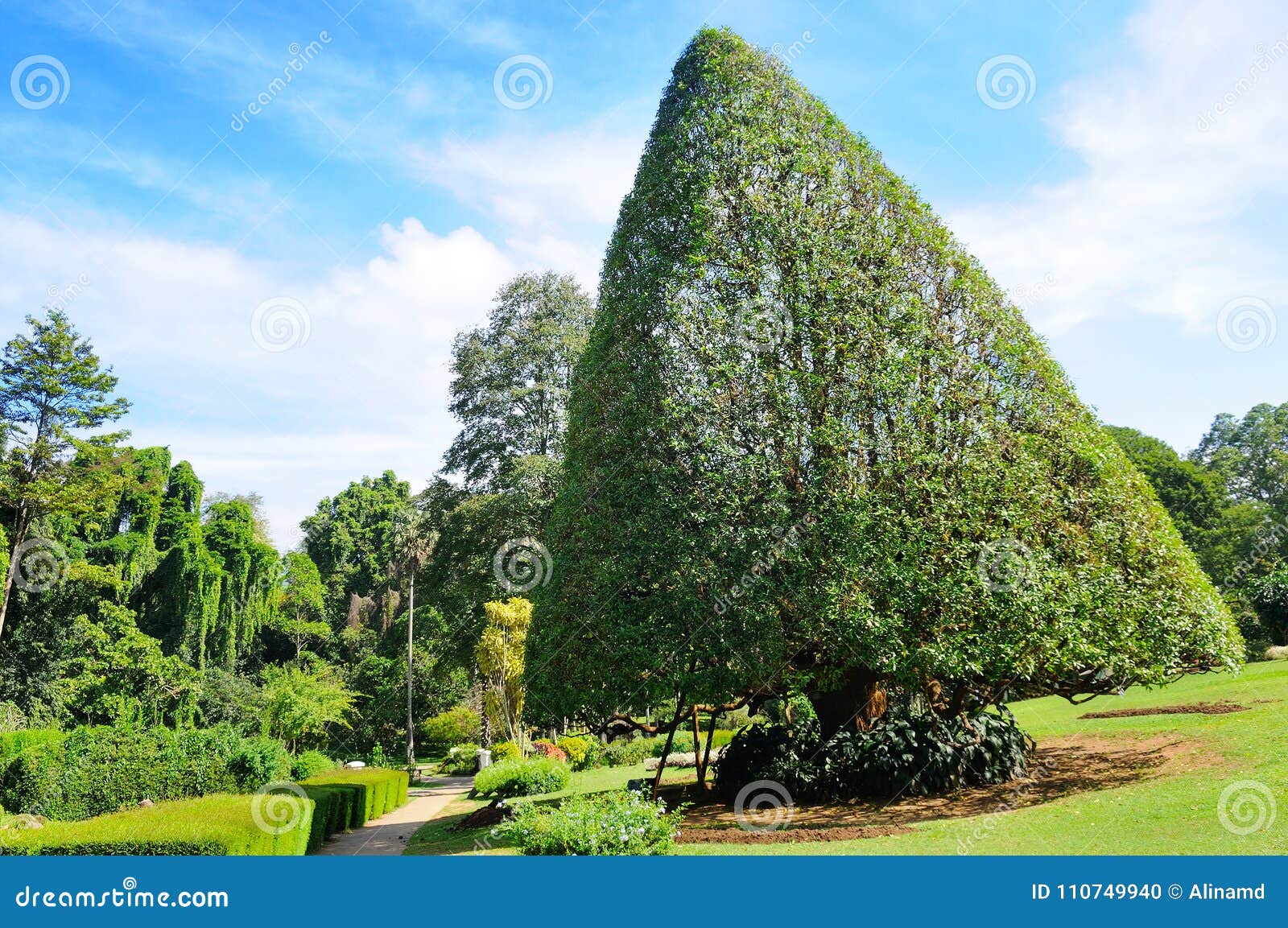 Tropical Park with Beautiful Trees and Flowers. Stock Photo - Image of ...