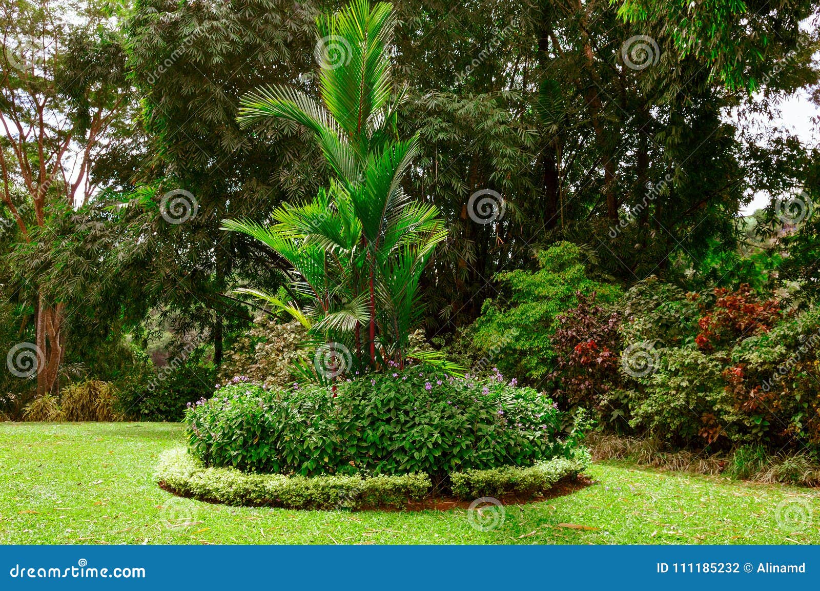Tropical Park with Beautiful Trees and Flowers. Stock Photo - Image of ...