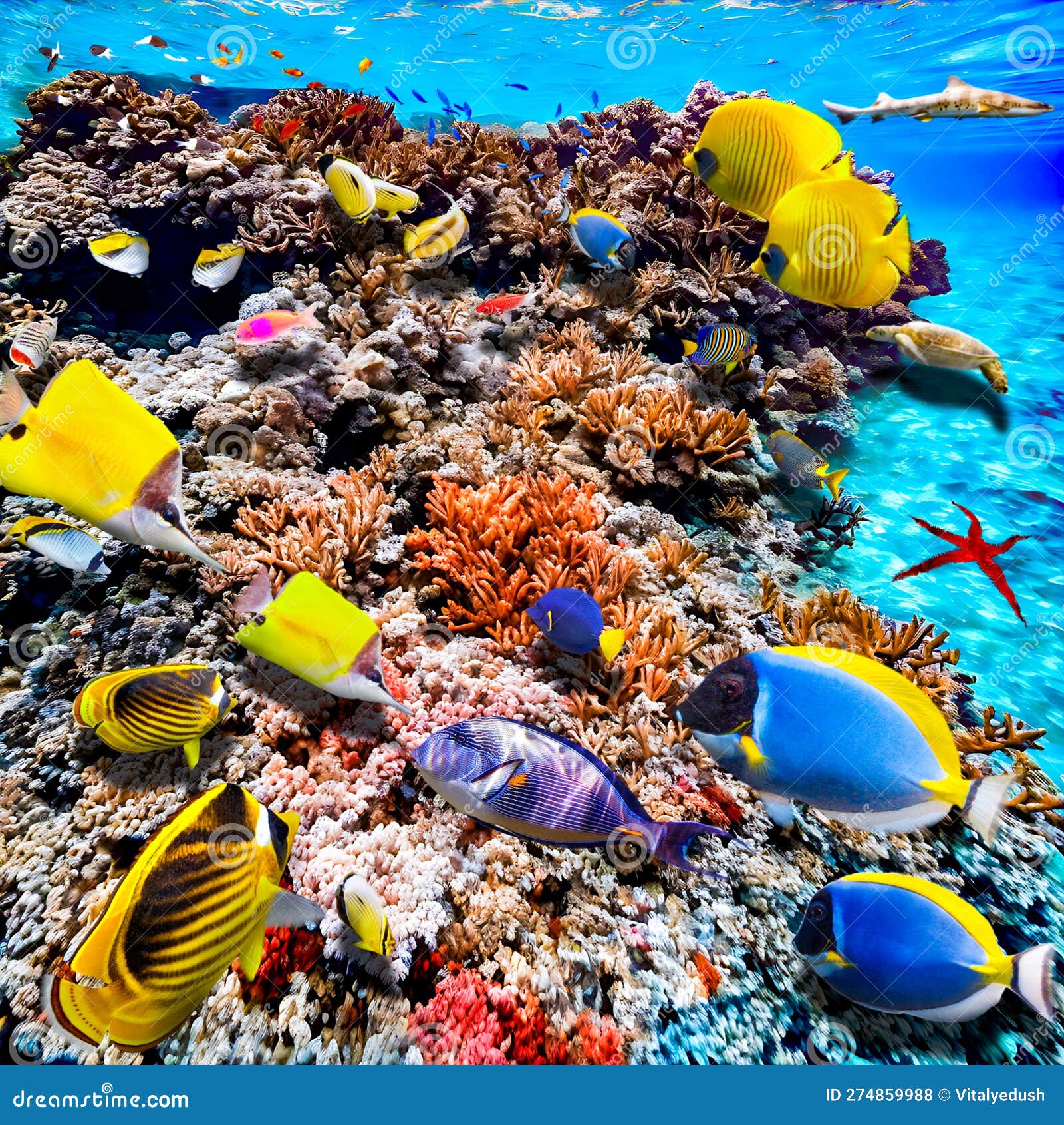 Magnificent Underwater World. Stock Illustration - Illustration of ...