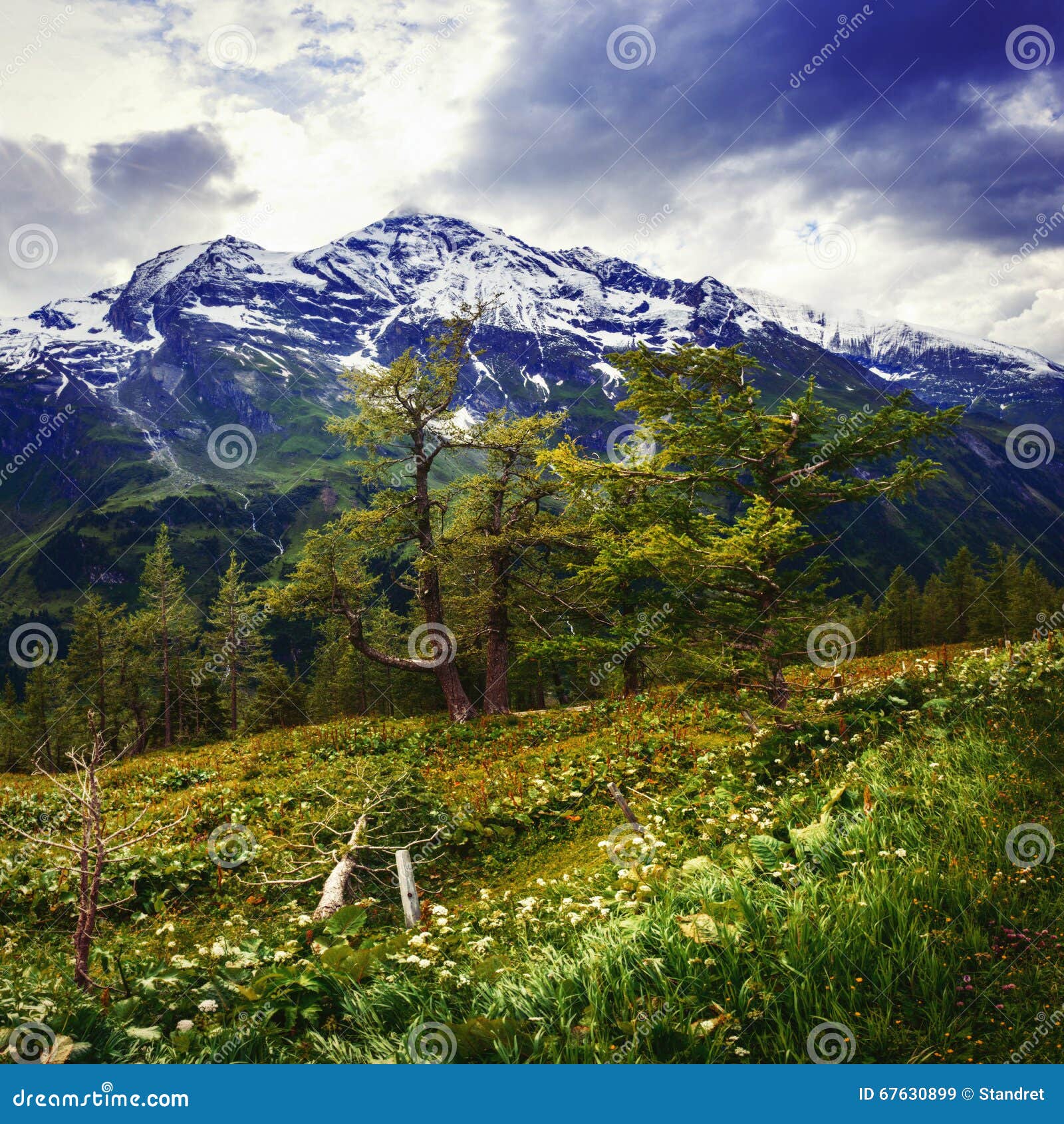 Magnificent View of the Alps Stock Image - Image of cloud, cliff: 67630899