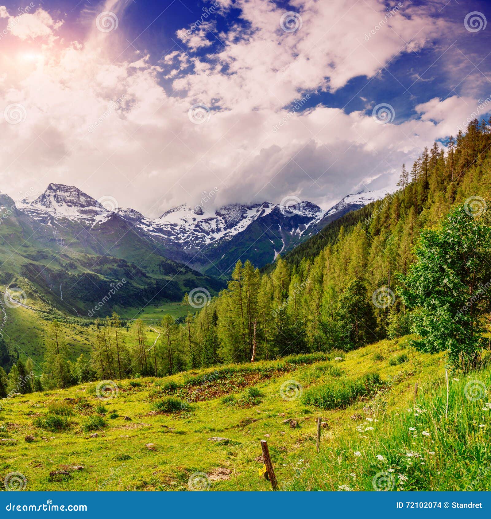 Magnificent View of the Alps Stock Photo - Image of europe, landscape ...