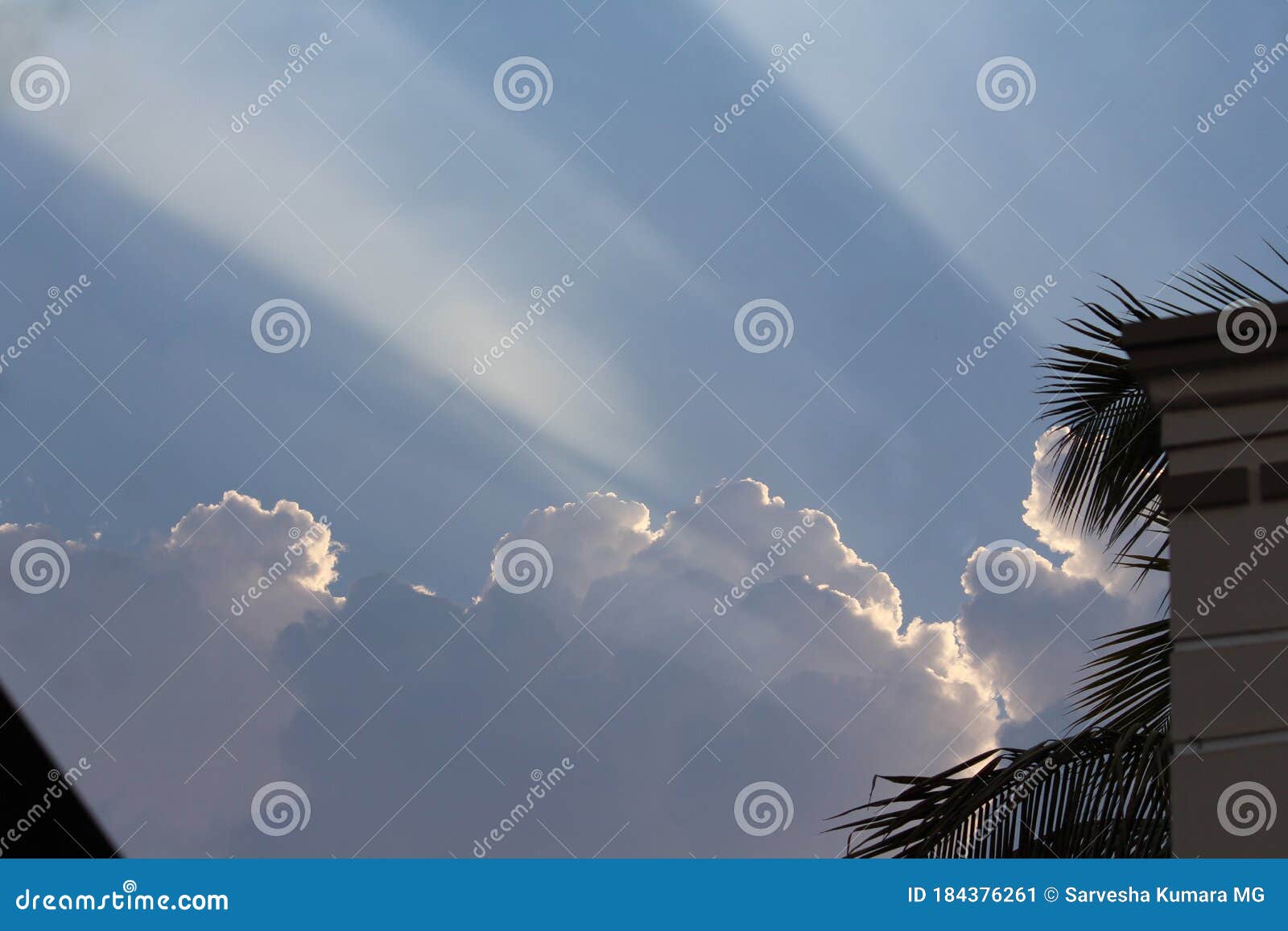 A Magnificent View from the Ground. Sky is Decorated with the Sun Light ...