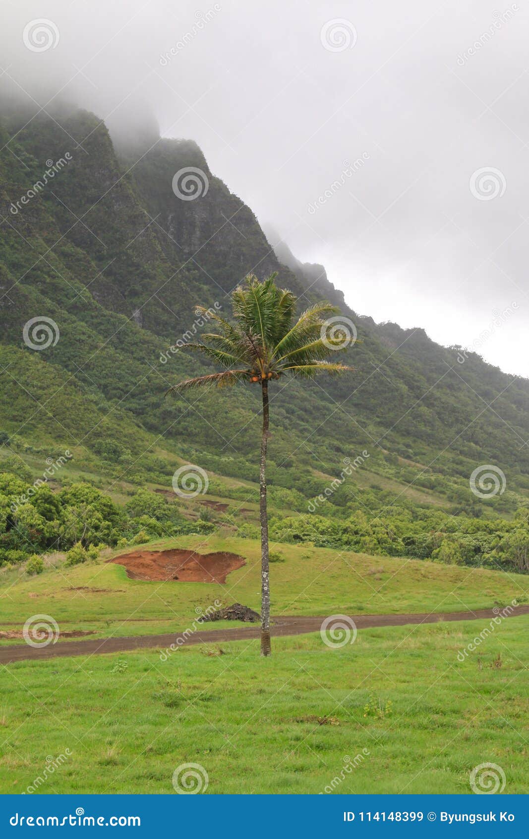 A Magnificent View of Kualoa Ranch Stock Image - Image of outdoors ...