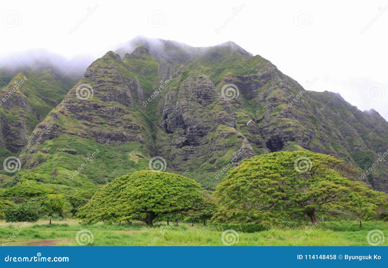A Magnificent View of Kualoa Ranch Stock Photo - Image of film, meadow ...