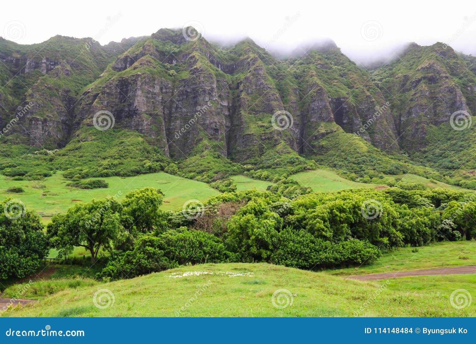 A Magnificent View of Kualoa Ranch Stock Photo - Image of film ...