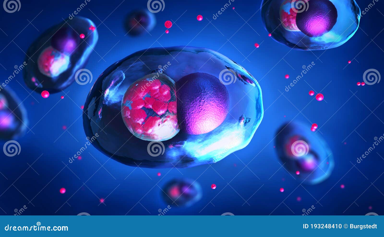 Chlamydia Bacteria Royalty-Free Illustration | CartoonDealer.com #86792742