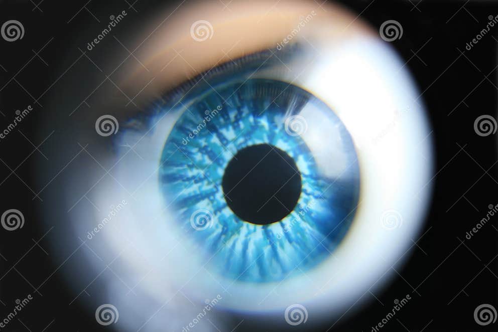 Magnified Plastic Eye stock image. Image of close, unusual - 2720085