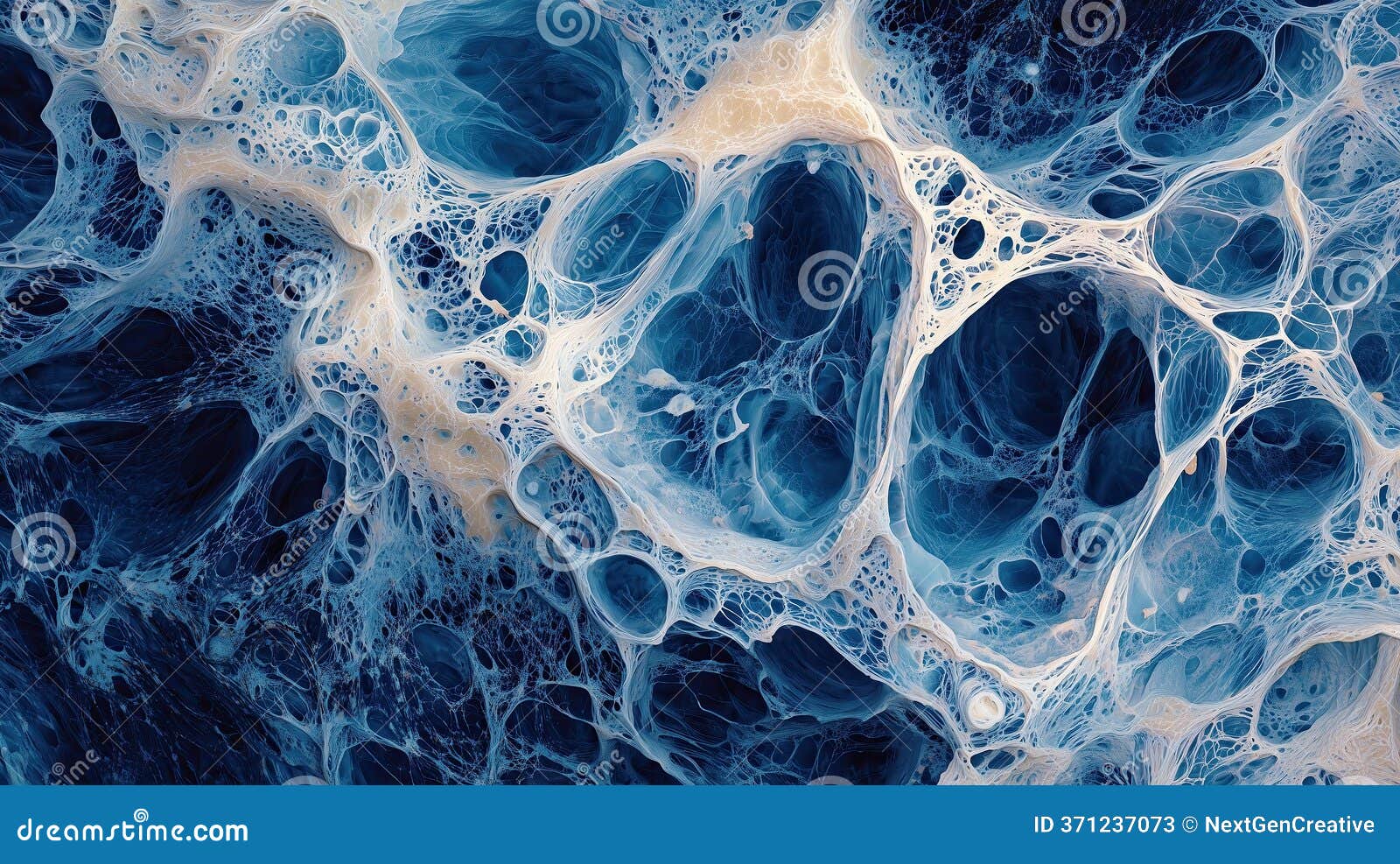 Bone Tissue Closeup Through A Cross Section Of A Bone - 3D Rendering ...