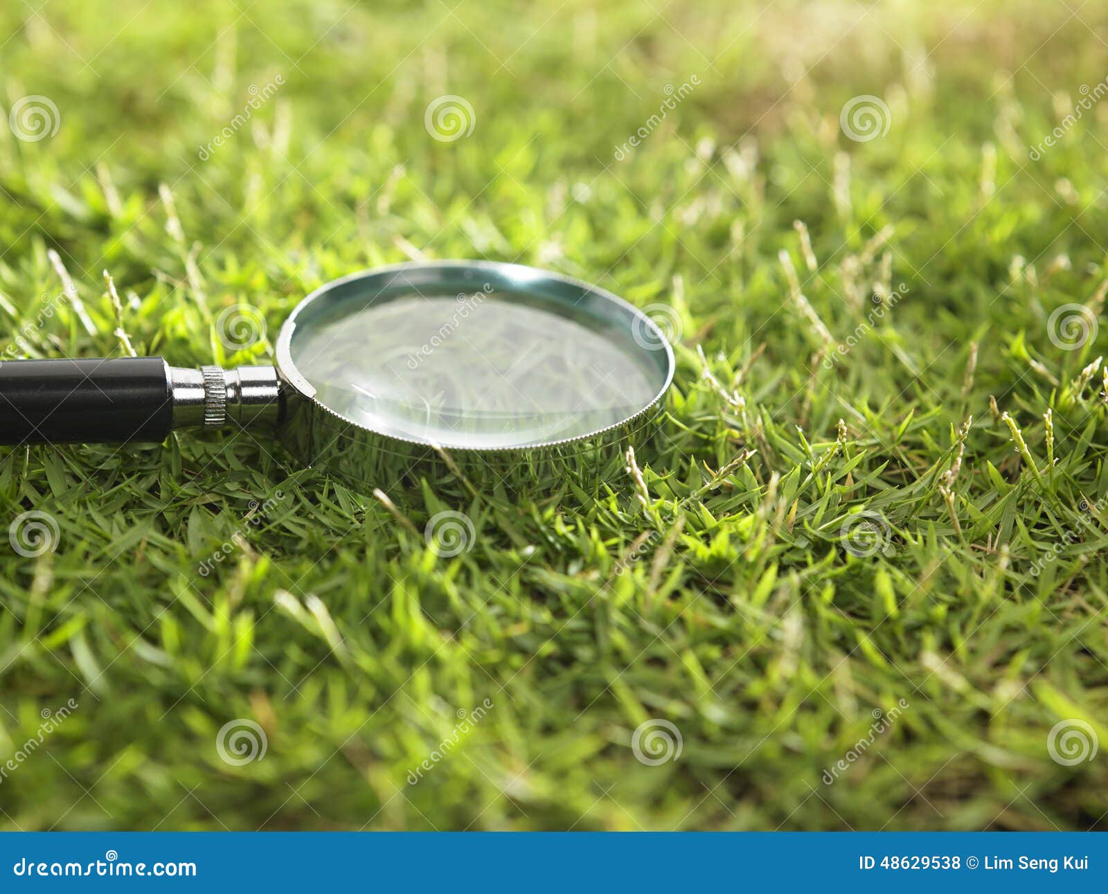 Magnifier stock photo. Image of optical, magnifying, yard - 48629538