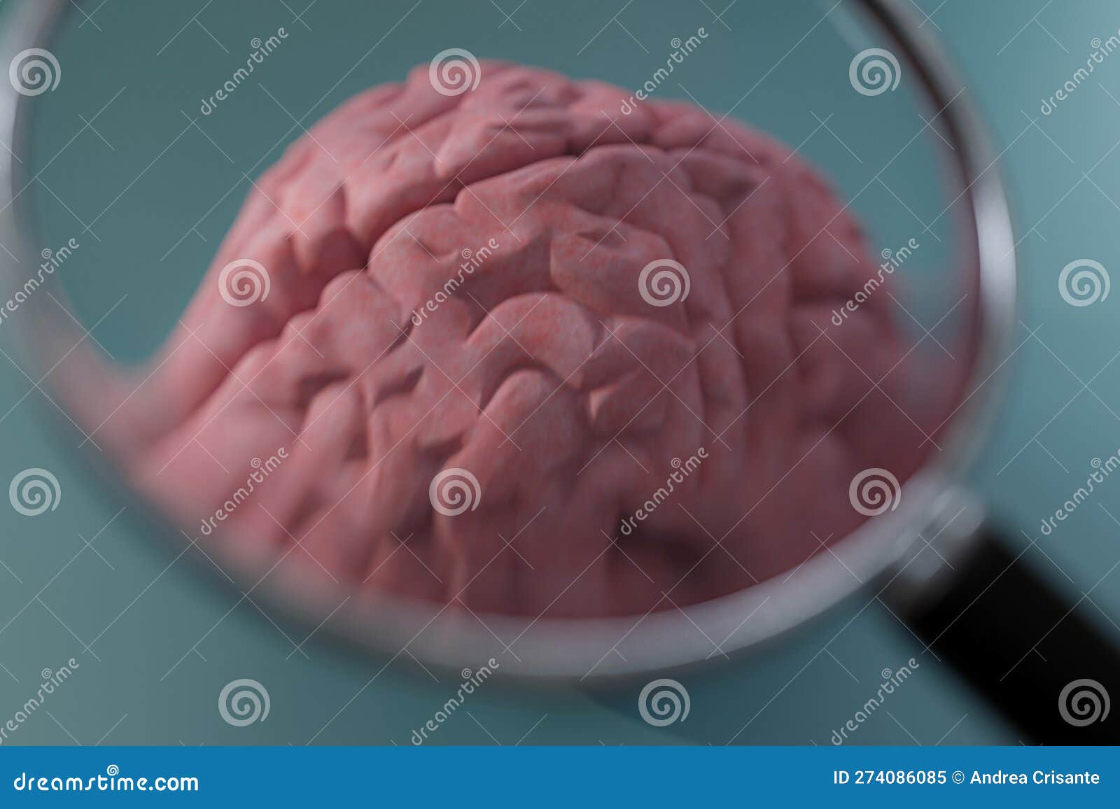 Magnifier Tool on a Human Brain Stock Image - Image of investigation ...