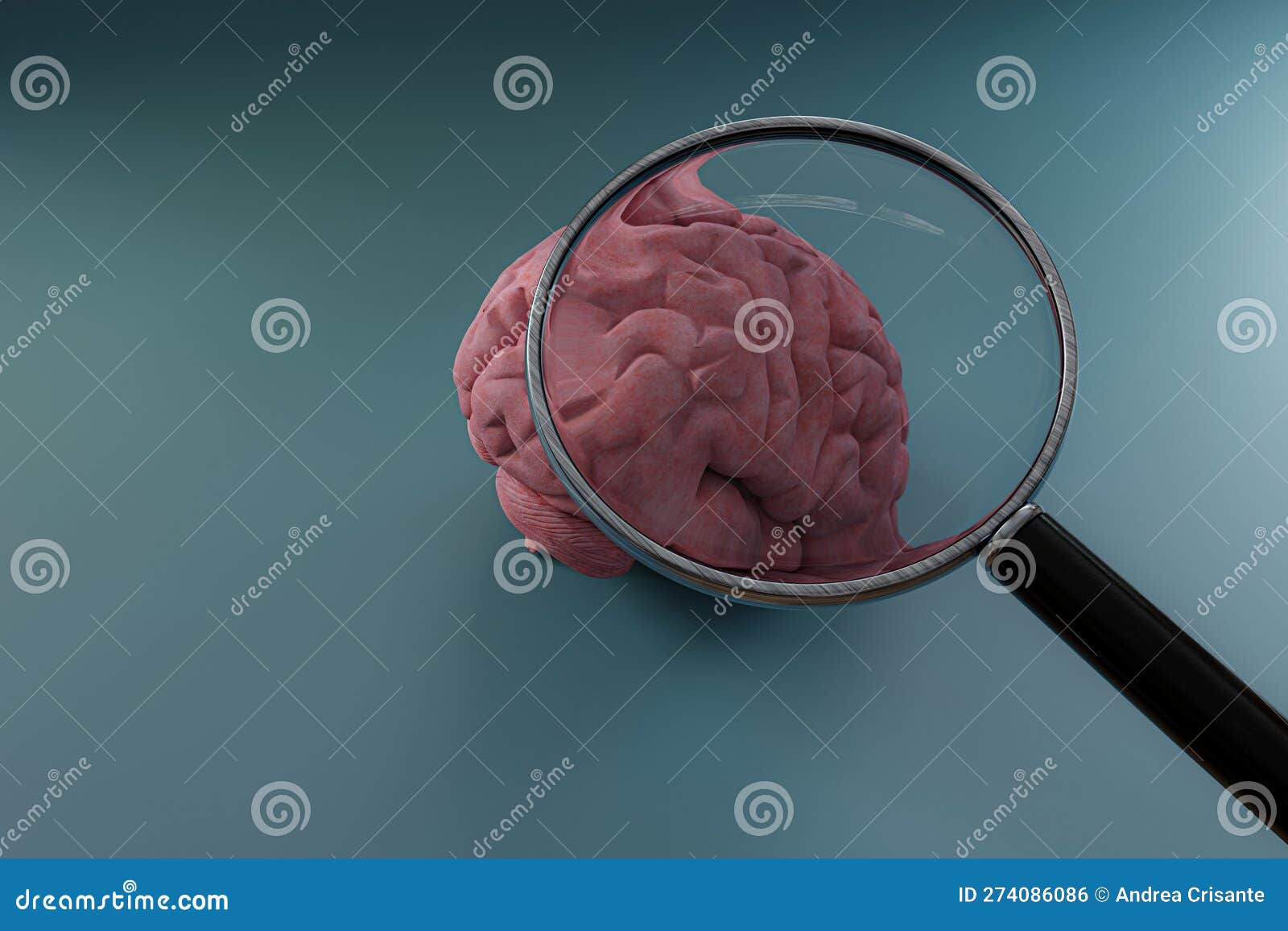 Magnifier Tool on a Human Brain Stock Photo - Image of magnifying ...