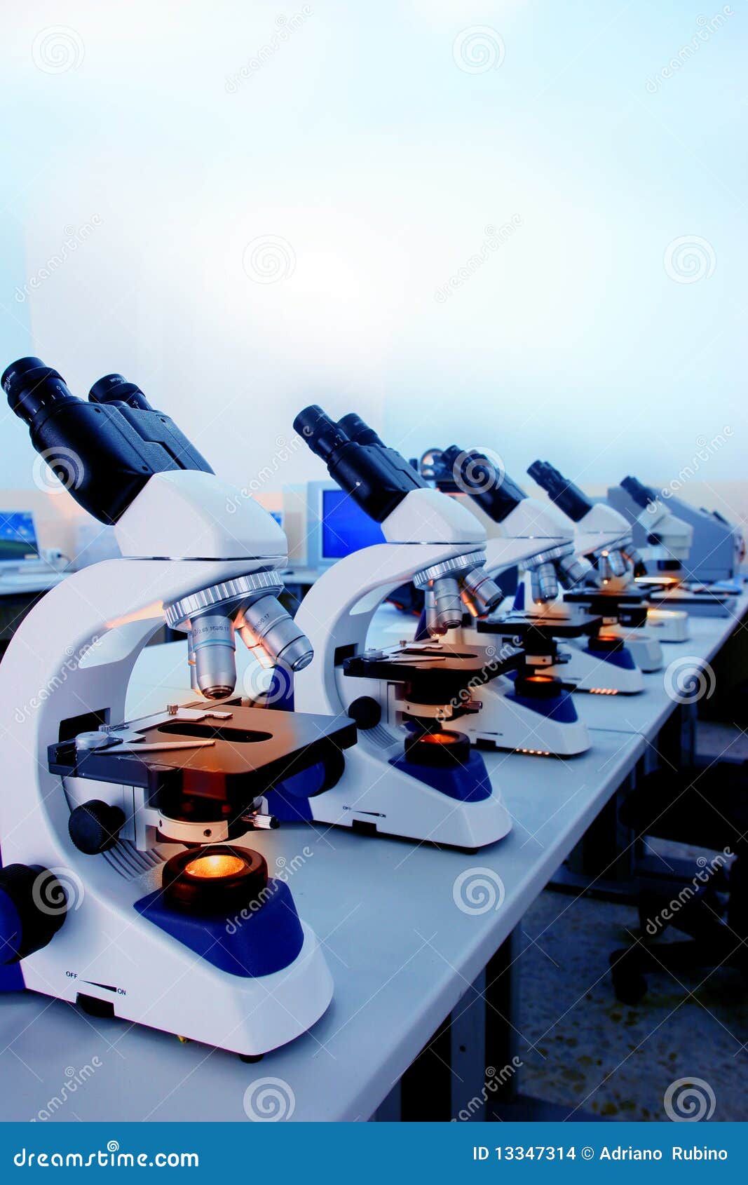 Magnifying stock photo. Image of microscopes, laboratory - 13347314