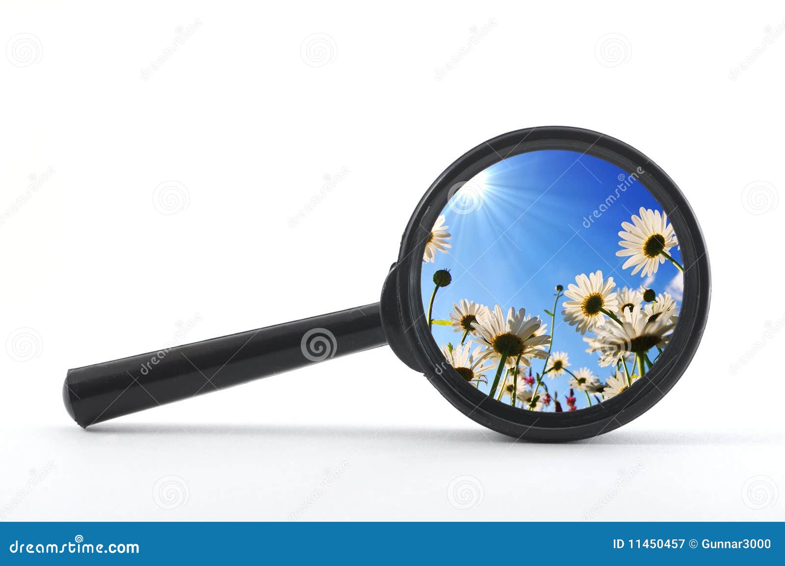 Magnifying Glass and Flower Stock Image - Image of flowers, global ...