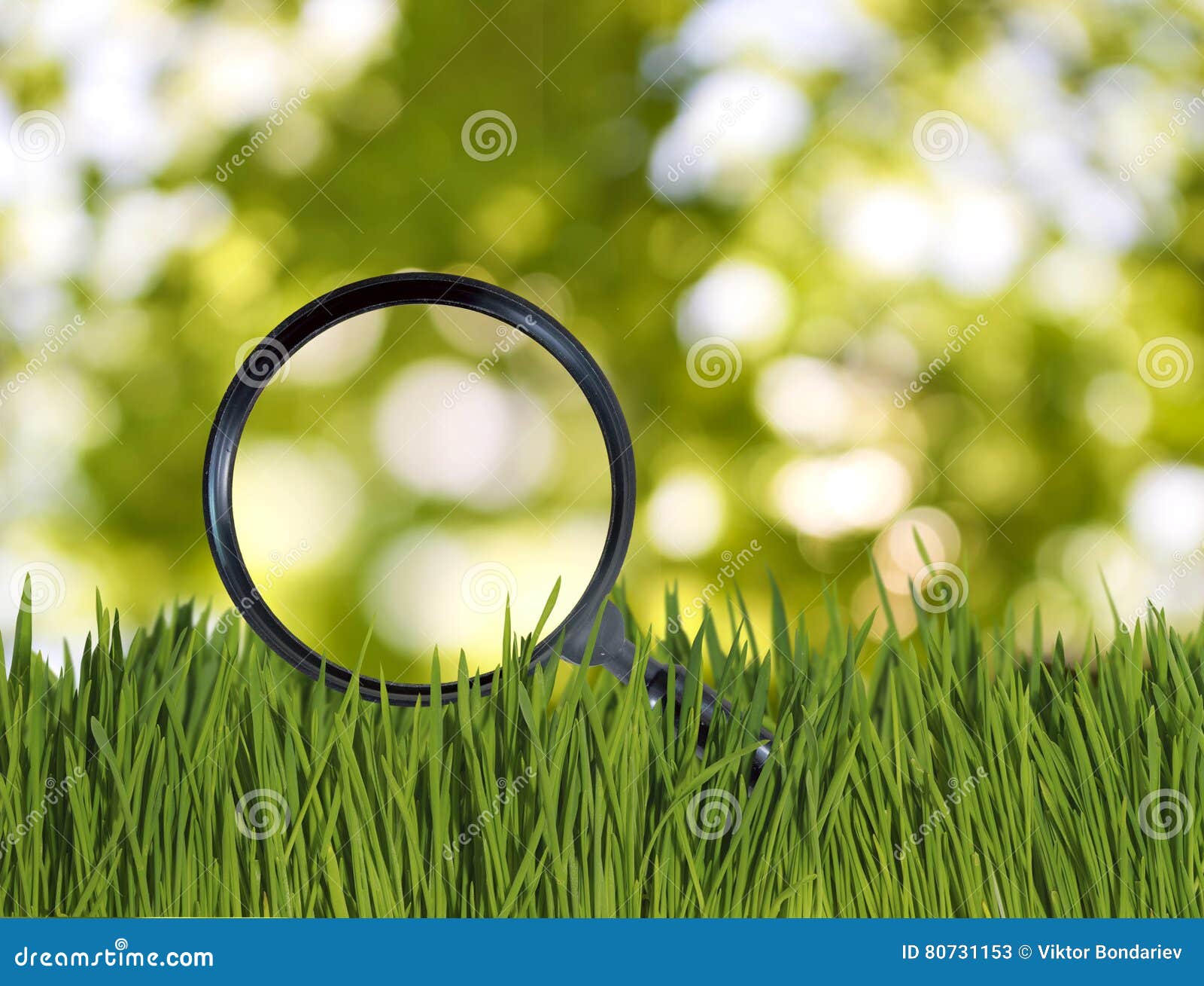 Magnifying Glass and Grass Close Up Stock Image - Image of magnifying ...