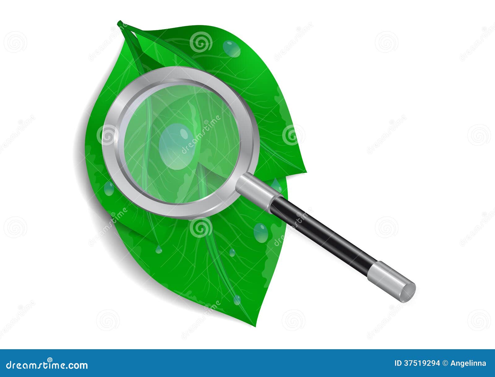 Magnifying Glass with Green Leaves and Waterdrops Stock Vector ...