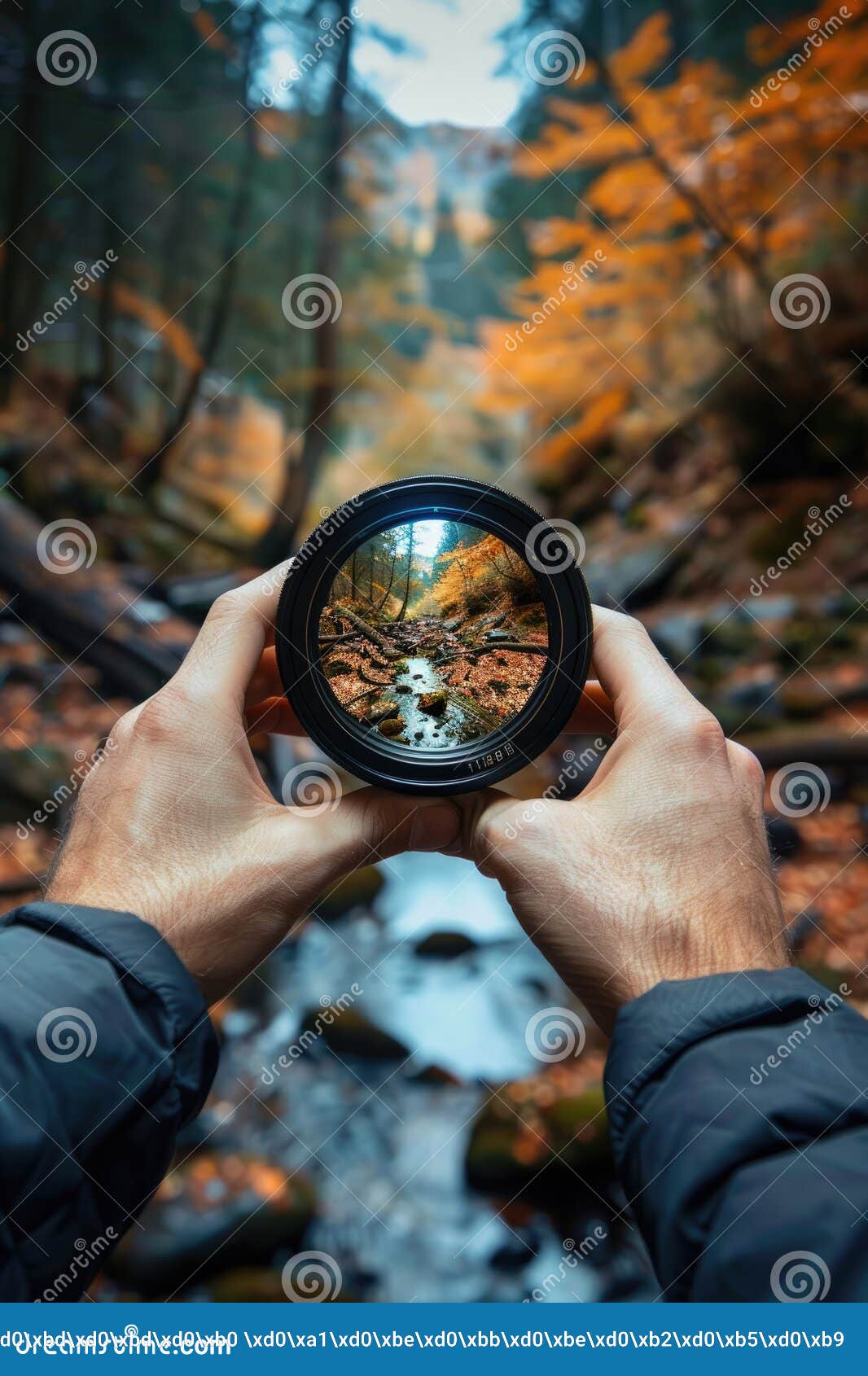 Magnifying Glass in the Hands of Nature. Selective Focus Stock Image ...