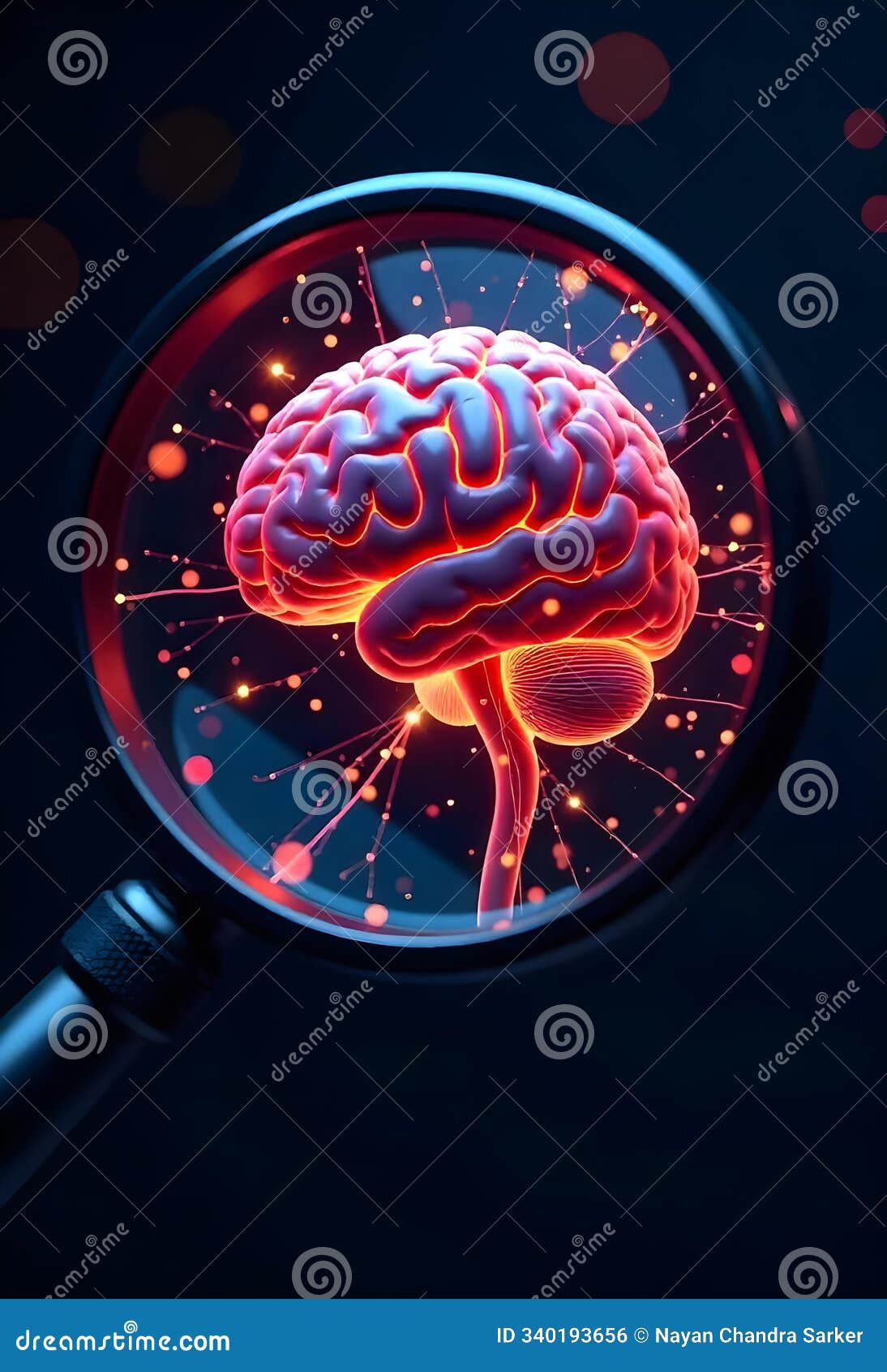 A Magnifying Glass Holding and Showing a Human Brain Stock Illustration ...
