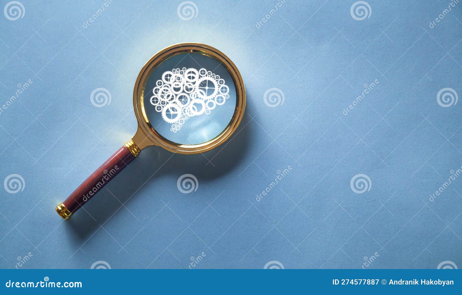 Magnifying Glass with a Human Brain Stock Image - Image of inspiration ...