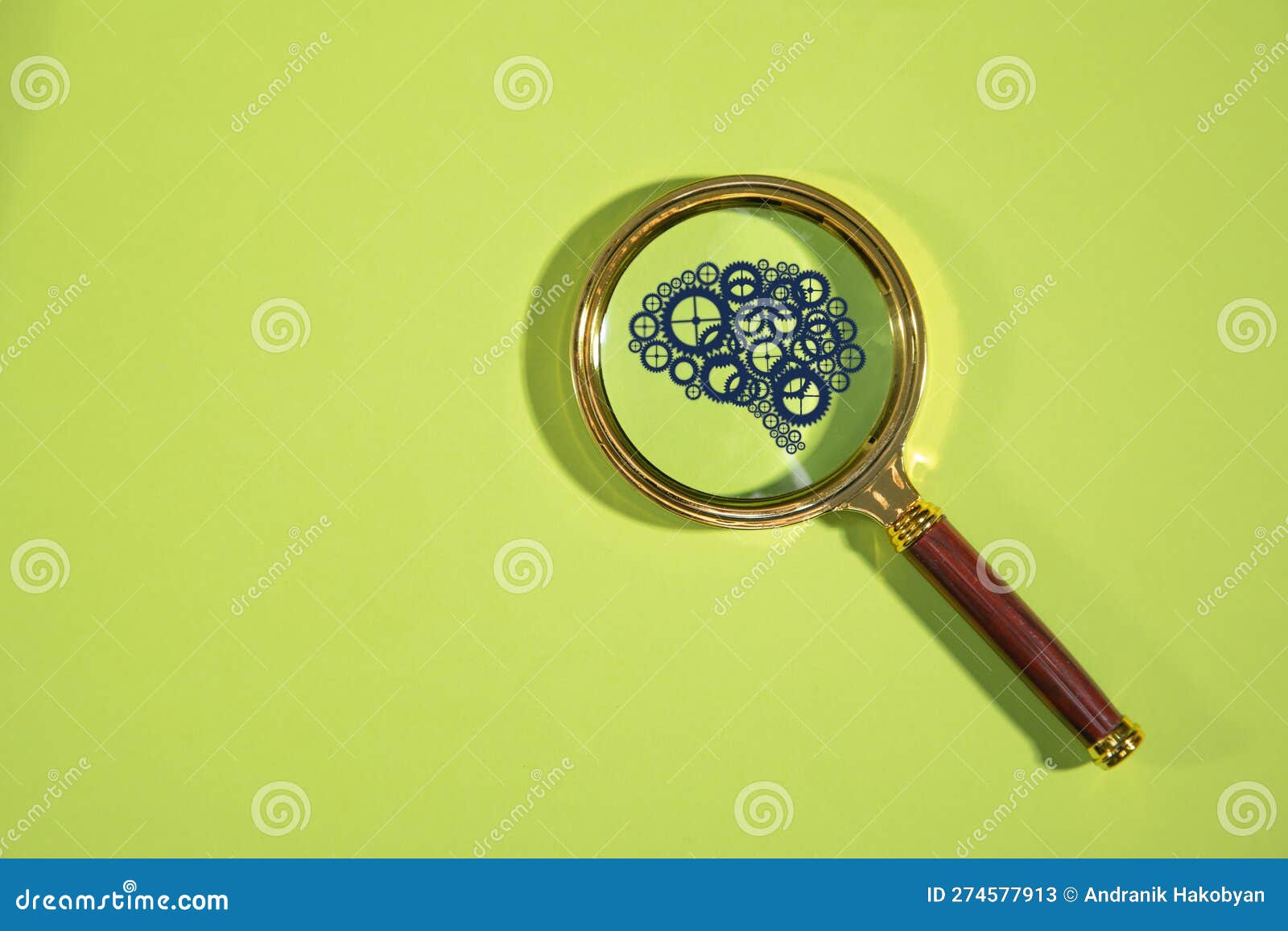 Magnifying Glass with a Human Brain Stock Image - Image of solution ...