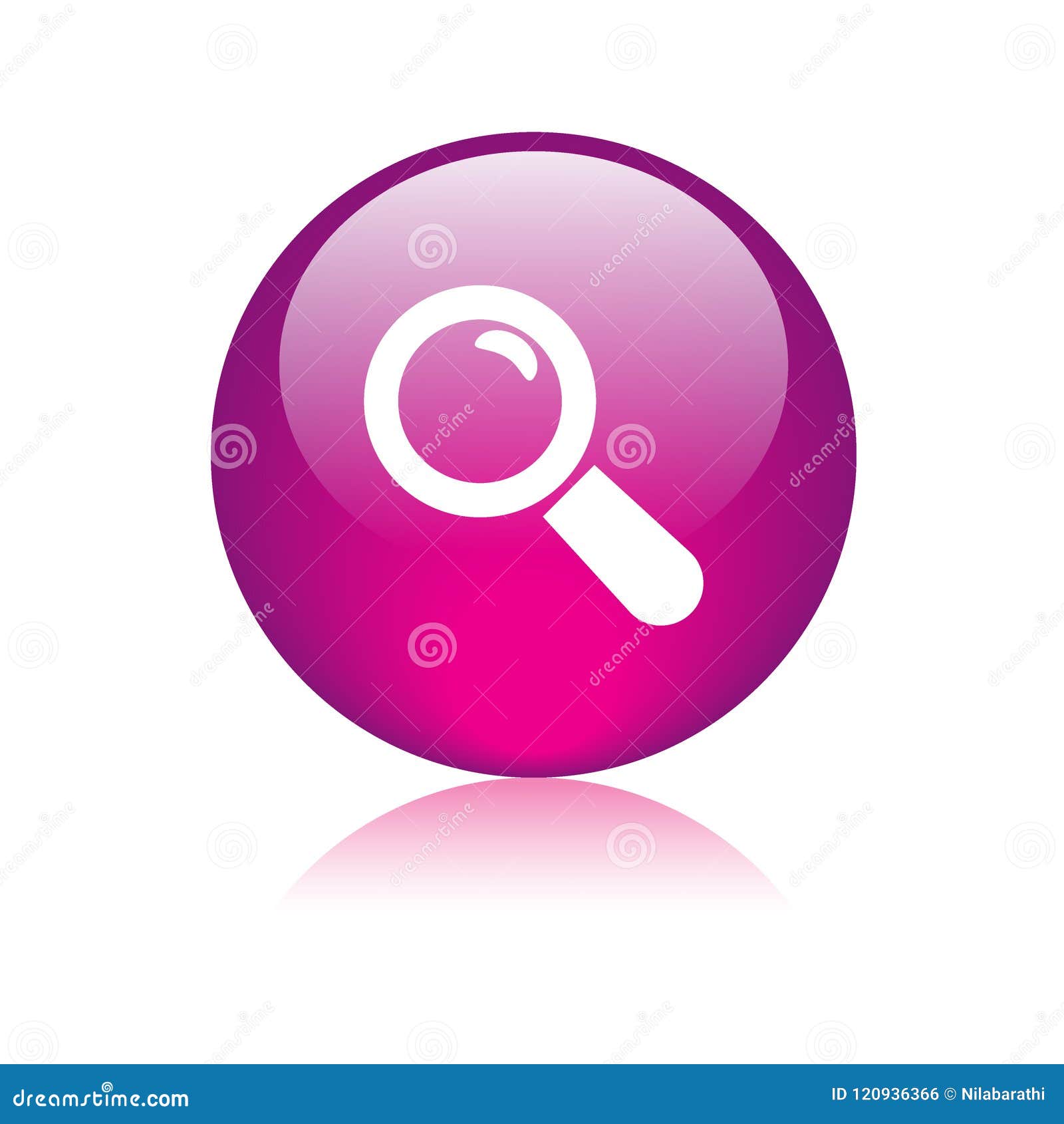 Search Button Icon