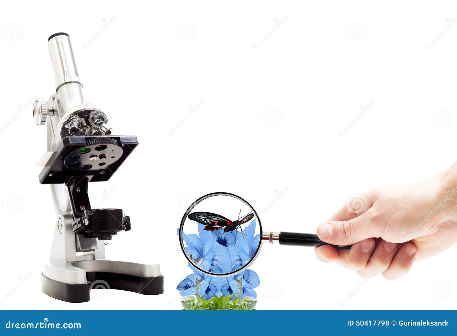 Magnifying Glass, Microscope Stock Photo - Image of lens, magnification ...