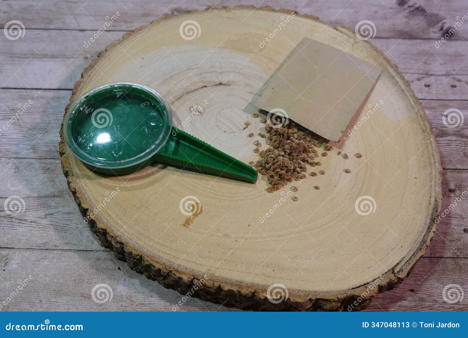 Magnifying Glass and Seeds on Wooden Slab Stock Image - Image of retro ...