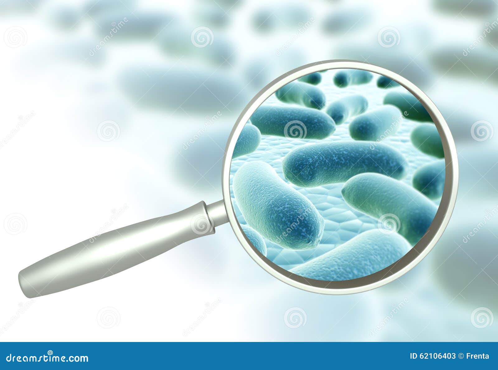 Magnifying Glass and Pathogen Bacteria Stock Illustration ...