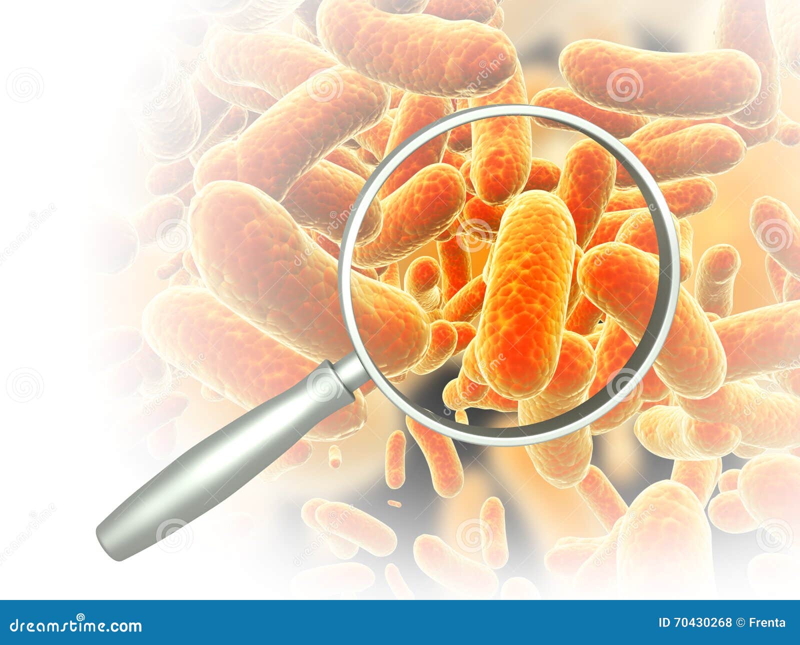 Magnifying Glass and Pathogen Bacteria Stock Illustration ...