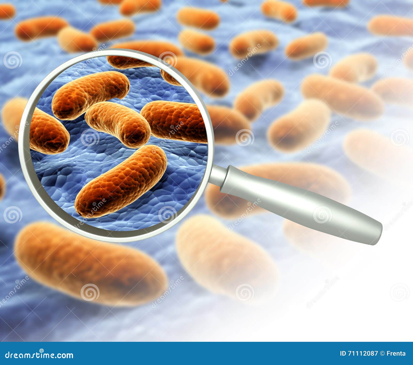Magnifying Glass and Pathogen Bacteria Stock Illustration ...