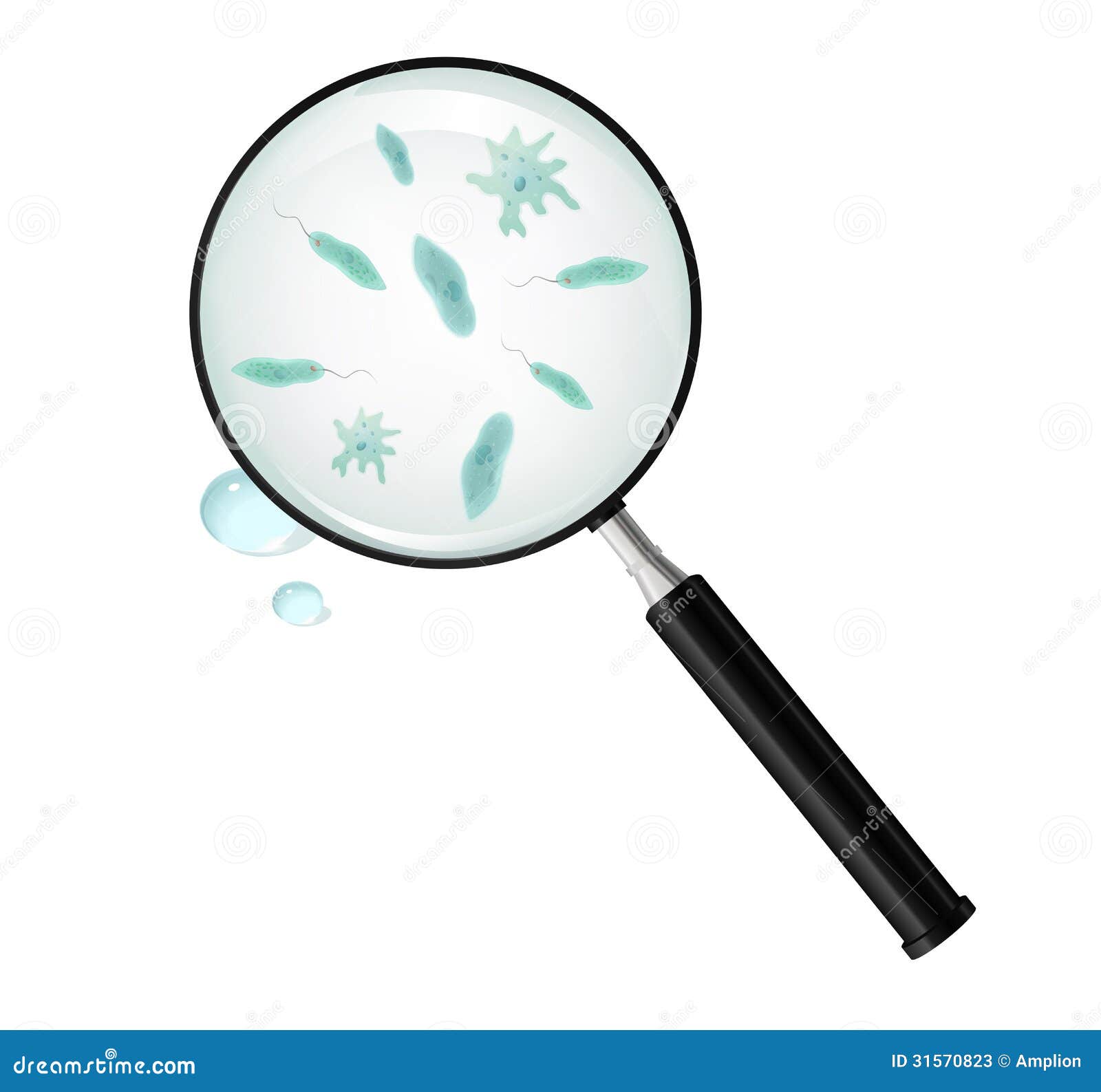 Infusorian Cartoons, Illustrations & Vector Stock Images - 23 Pictures ...